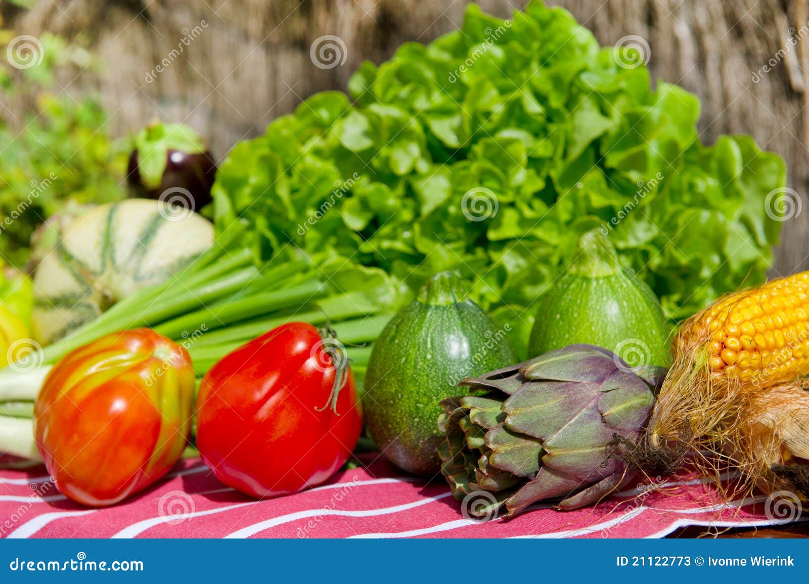 Various vegetables stock image. Image of outdoor, salade - 21122773