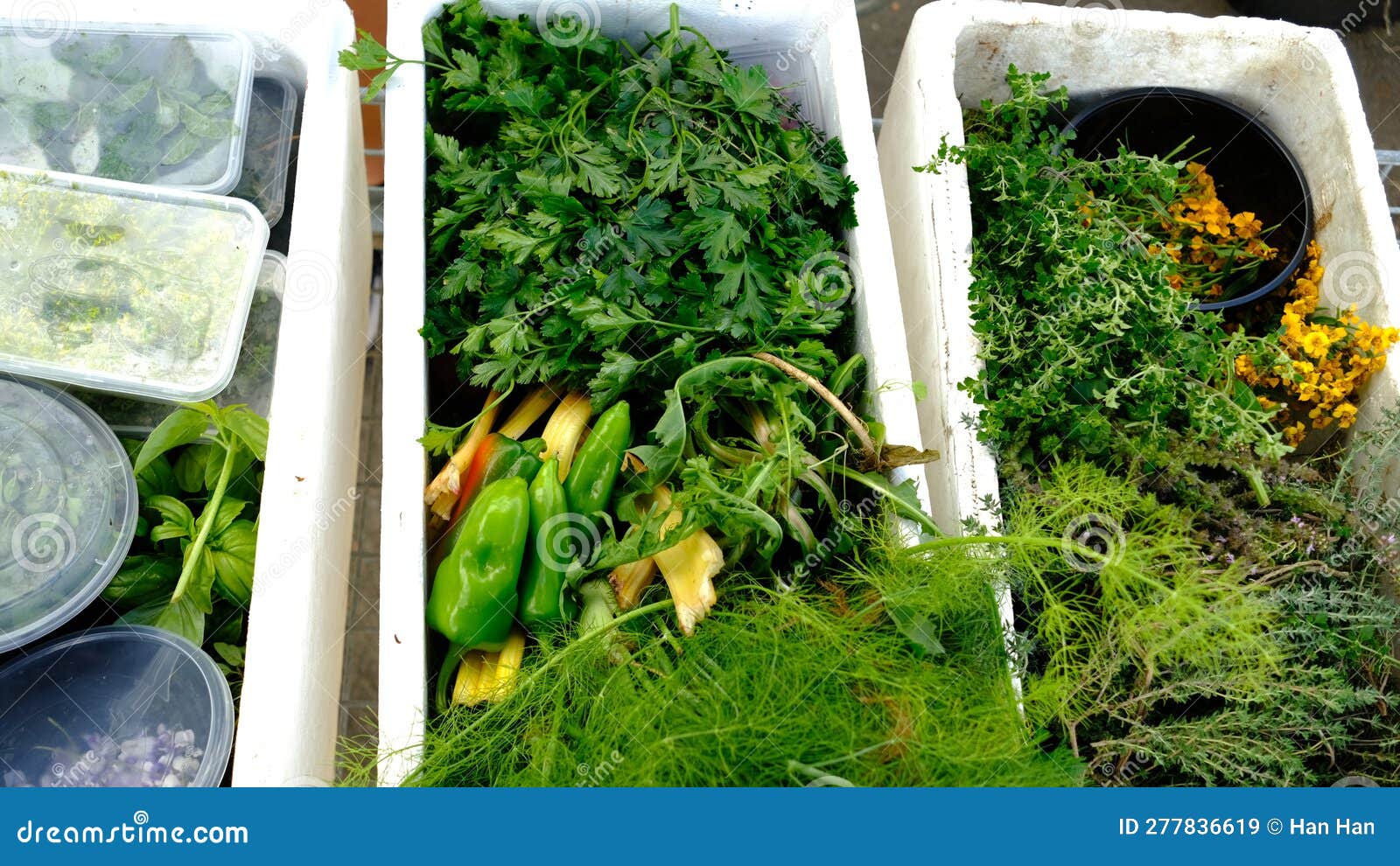 Various Vegetables in Boxes Produced from Harvesting. Stock Image ...