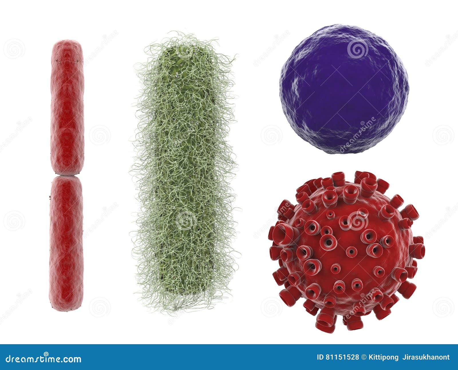 Various Virus and Bacteria Isolated on White Stock Illustration ...