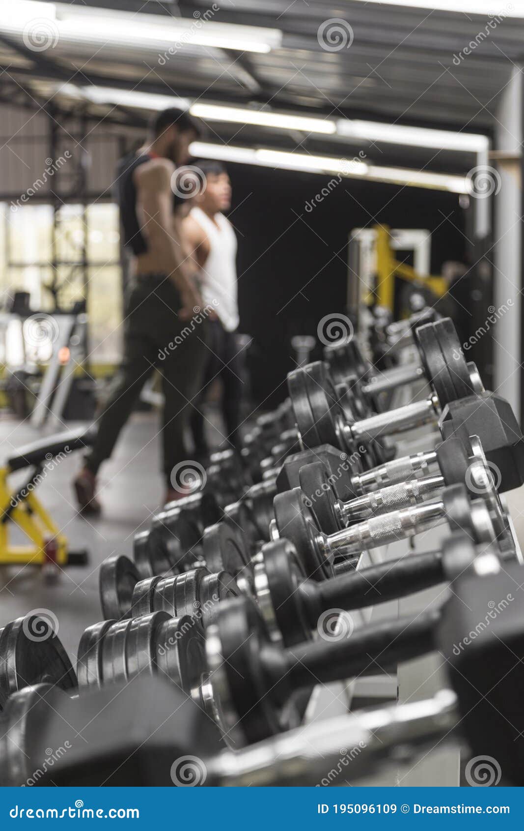 Various Weights of Different Sizes in a Gym Stock Image - Image of ...