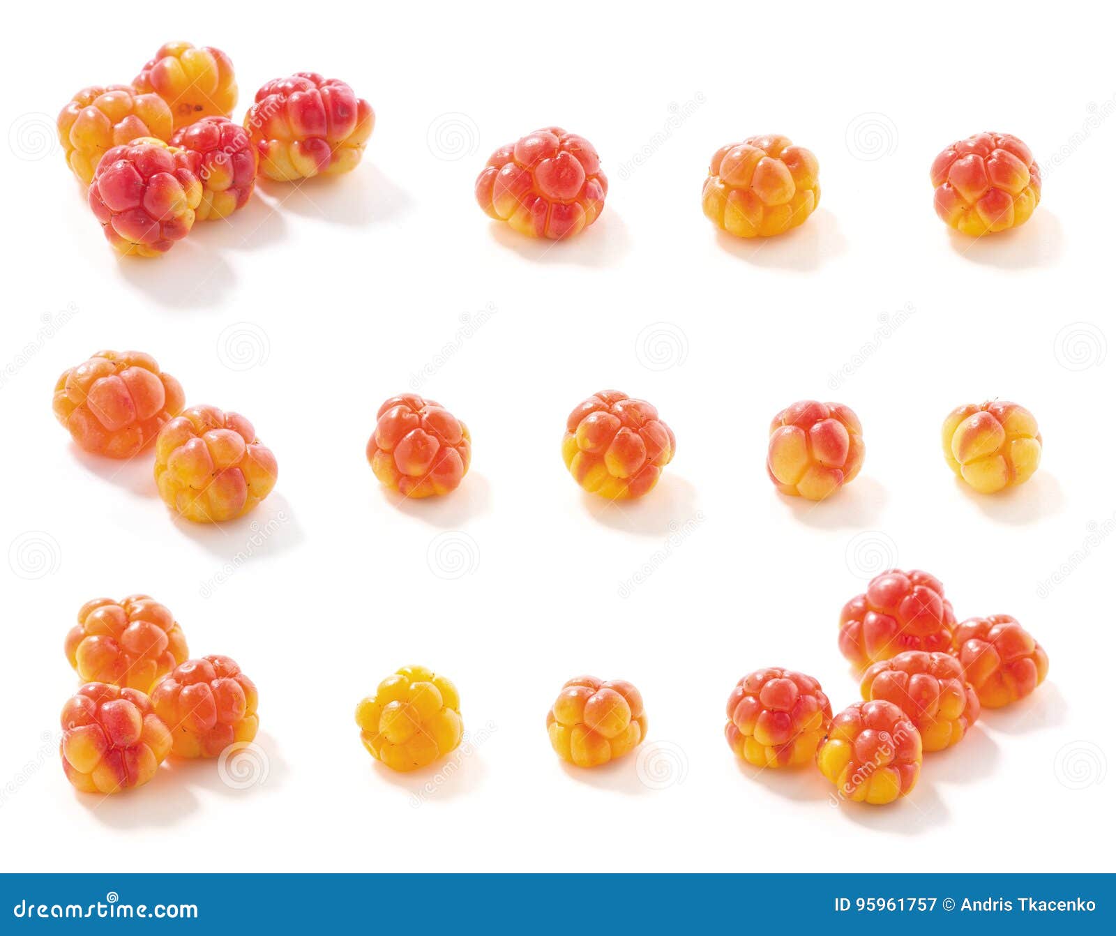Various wild cloudberries stock image. Image of forest - 95961757