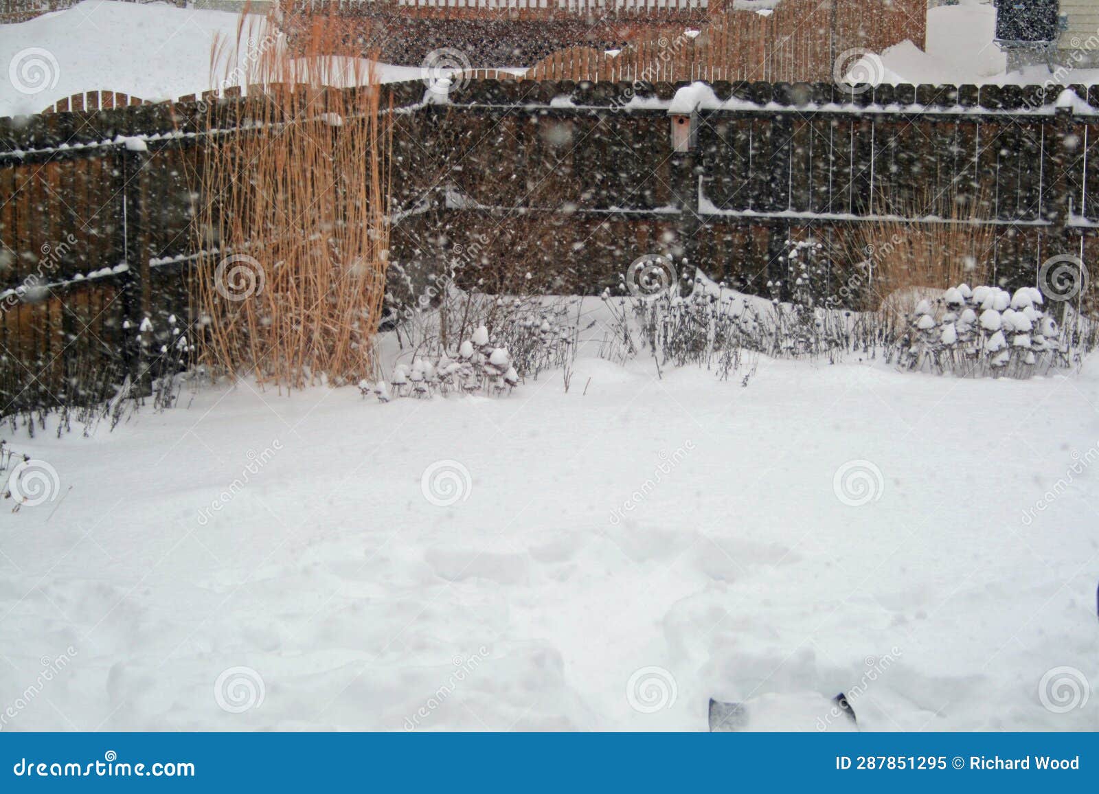 Various Winter Scenes Outdoors, Ohio Stock Image - Image of ohio ...