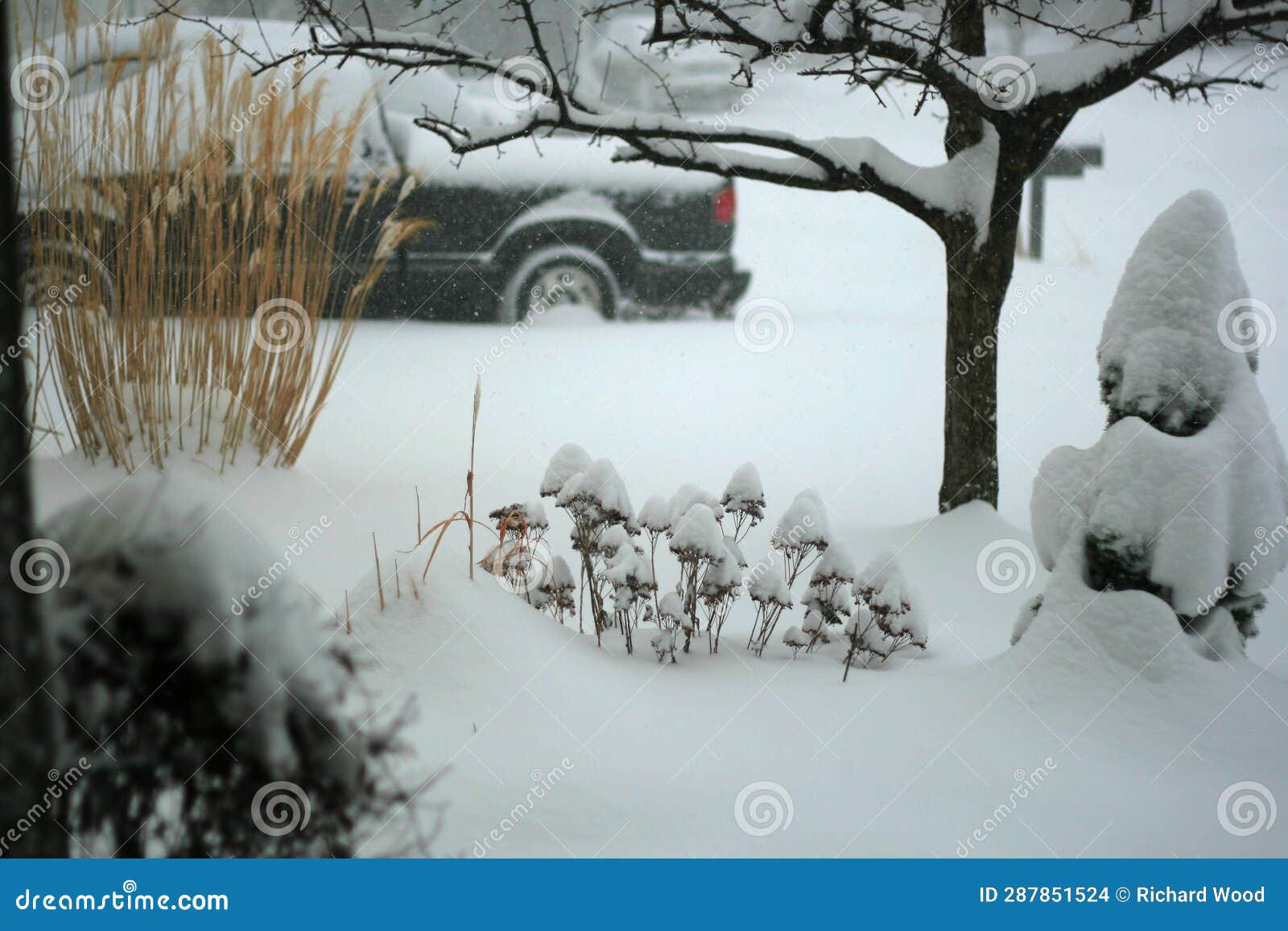 Various Winter Scenes Outdoors, Ohio Stock Photo - Image of ohio ...