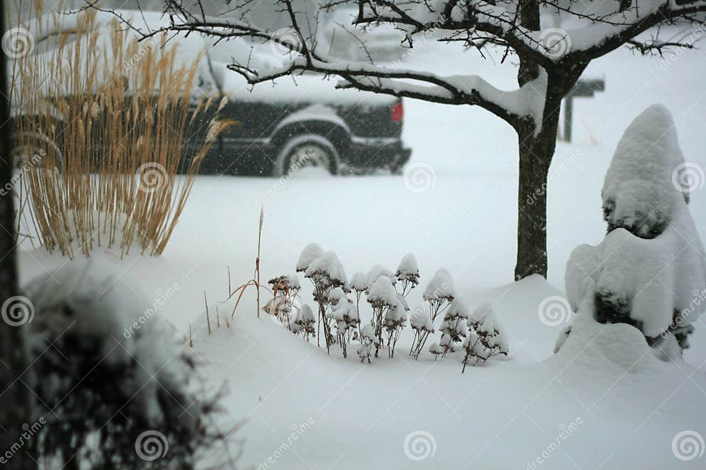Various Winter Scenes Outdoors, Ohio Stock Photo - Image of ohio ...