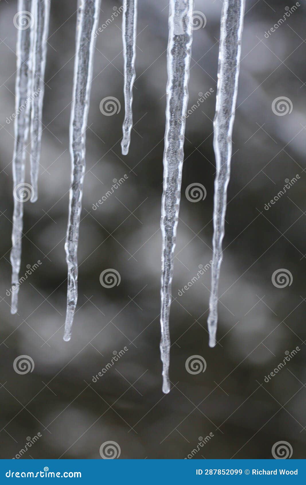 Sharp, Narrow Icicles in Winter Stock Image - Image of chilly, scenes ...