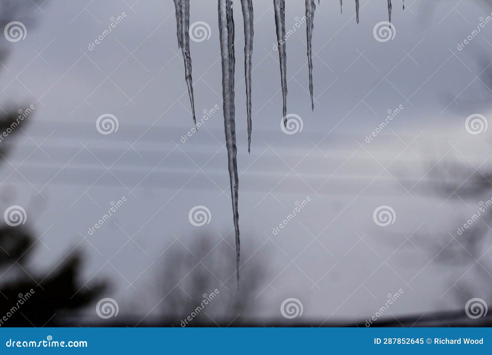 Sharp, Narrow Icicles in Winter Stock Image - Image of outdoor, icicles ...