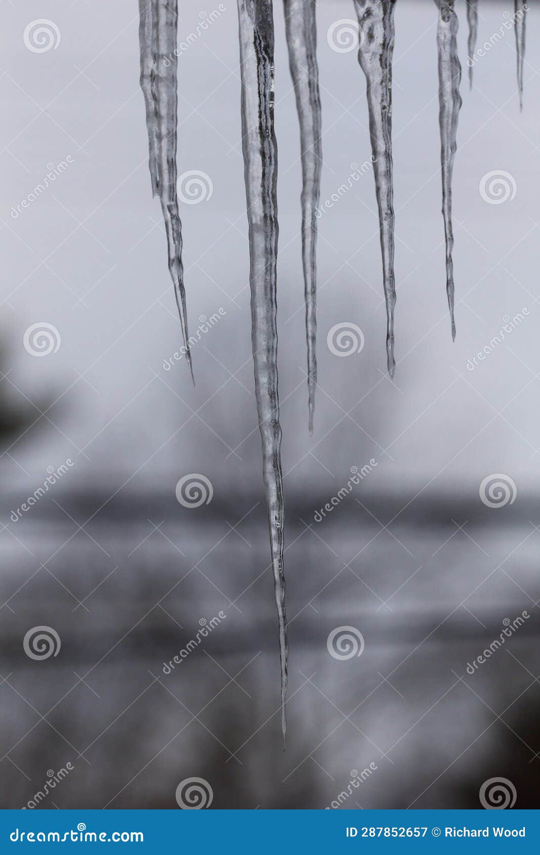 Sharp, Narrow Icicles in Winter Stock Image - Image of cold, frost ...
