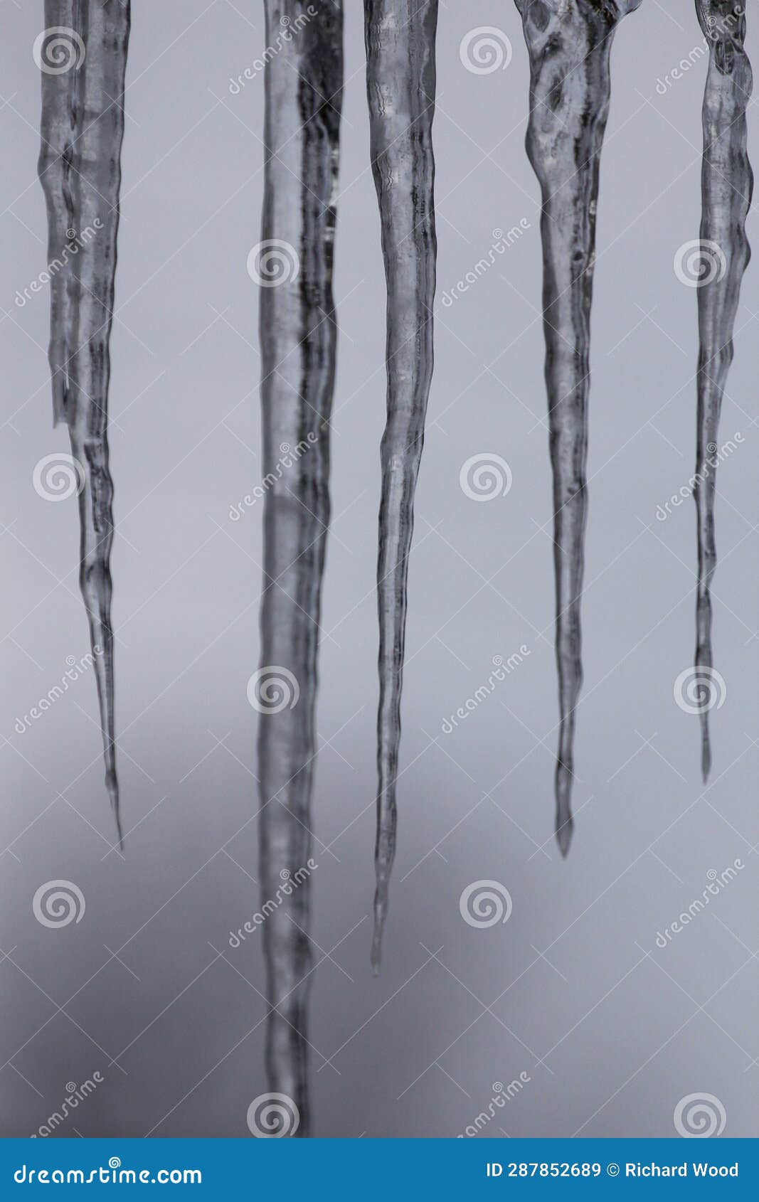 Sharp, Narrow Icicles in Winter Stock Image - Image of sharp, view ...