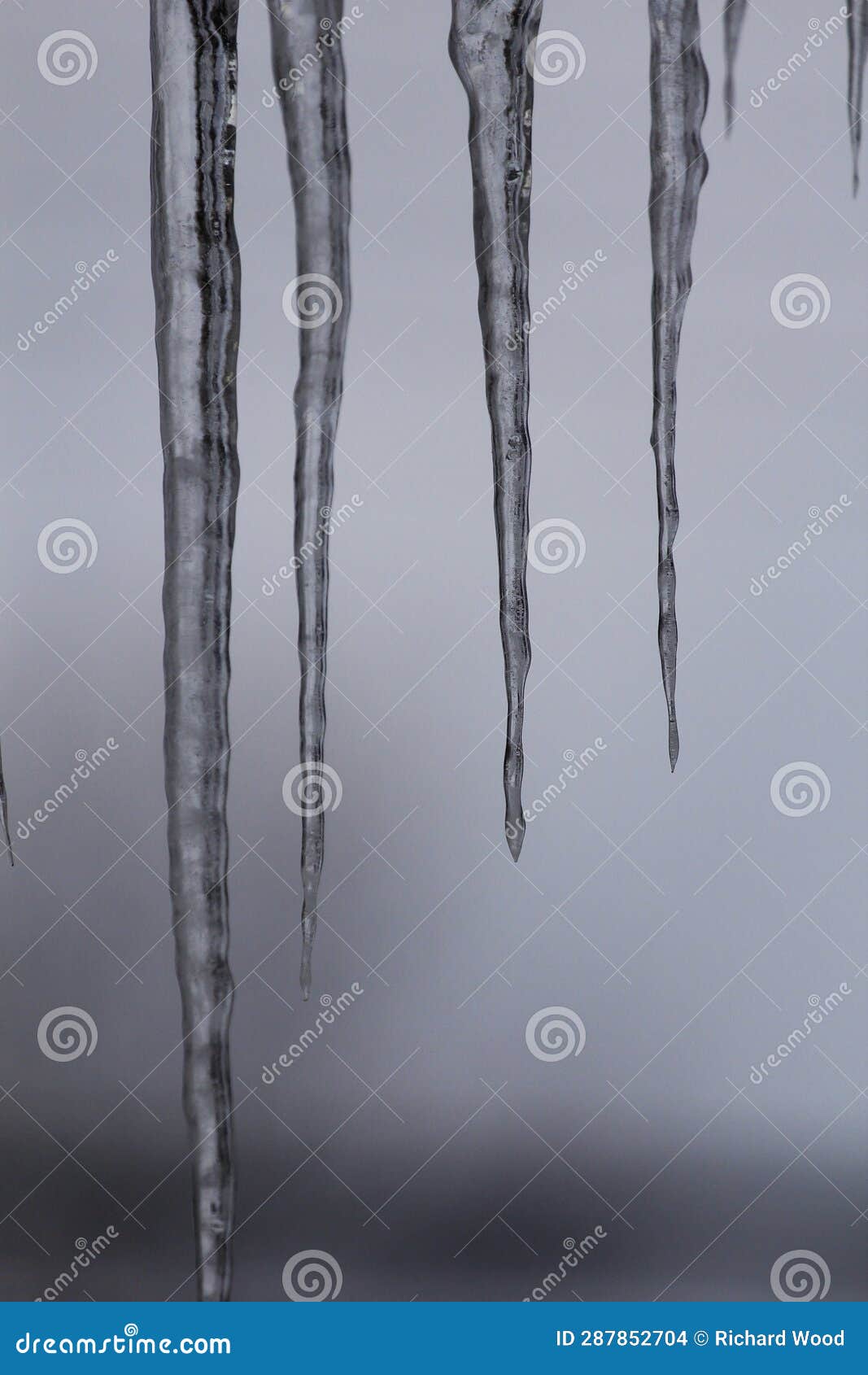 Sharp, Narrow Icicles in Winter Stock Photo - Image of outdoors, cold ...