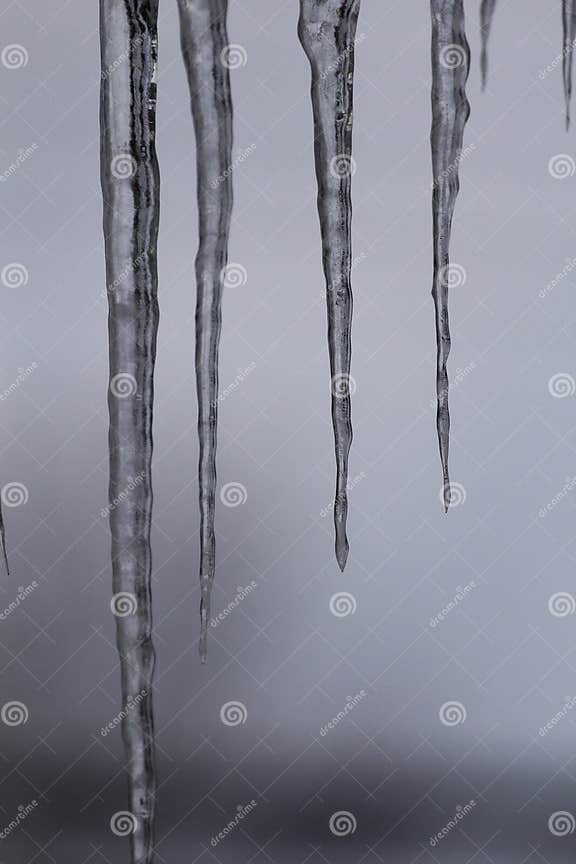 Sharp, Narrow Icicles in Winter Stock Photo - Image of outdoors, cold ...