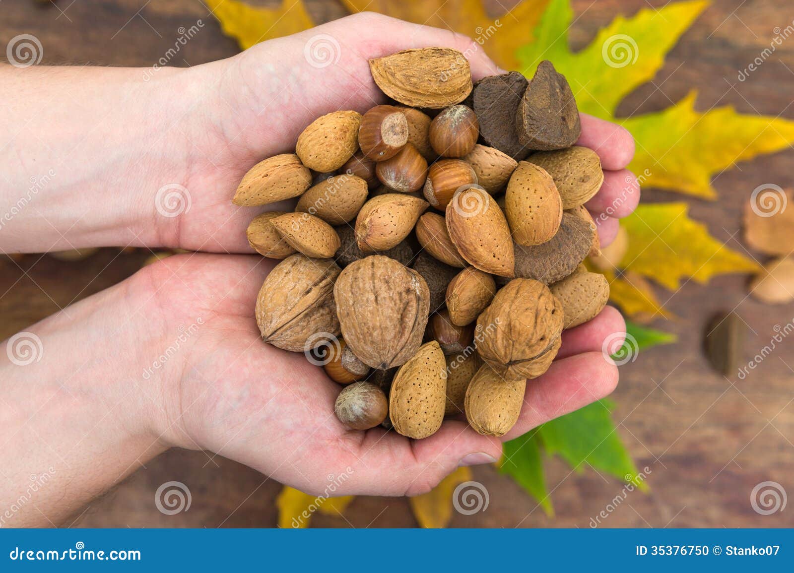 Variuos nuts in hands stock photo. Image of assorted - 35376750