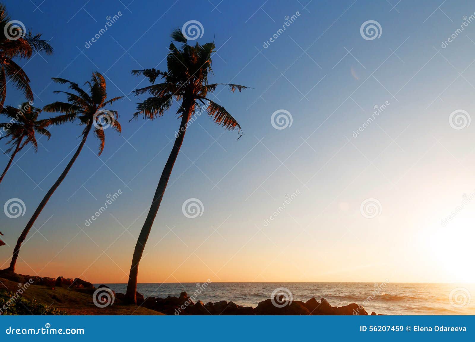 Varkala beach at sunset stock image. Image of tourism - 56207459