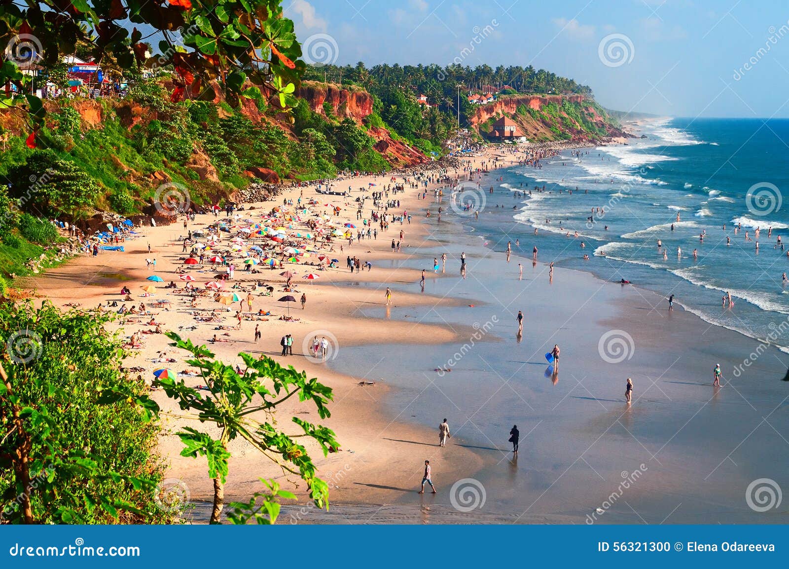 Varkala beach stock photo. Image of trees, holiday, nature - 56321300