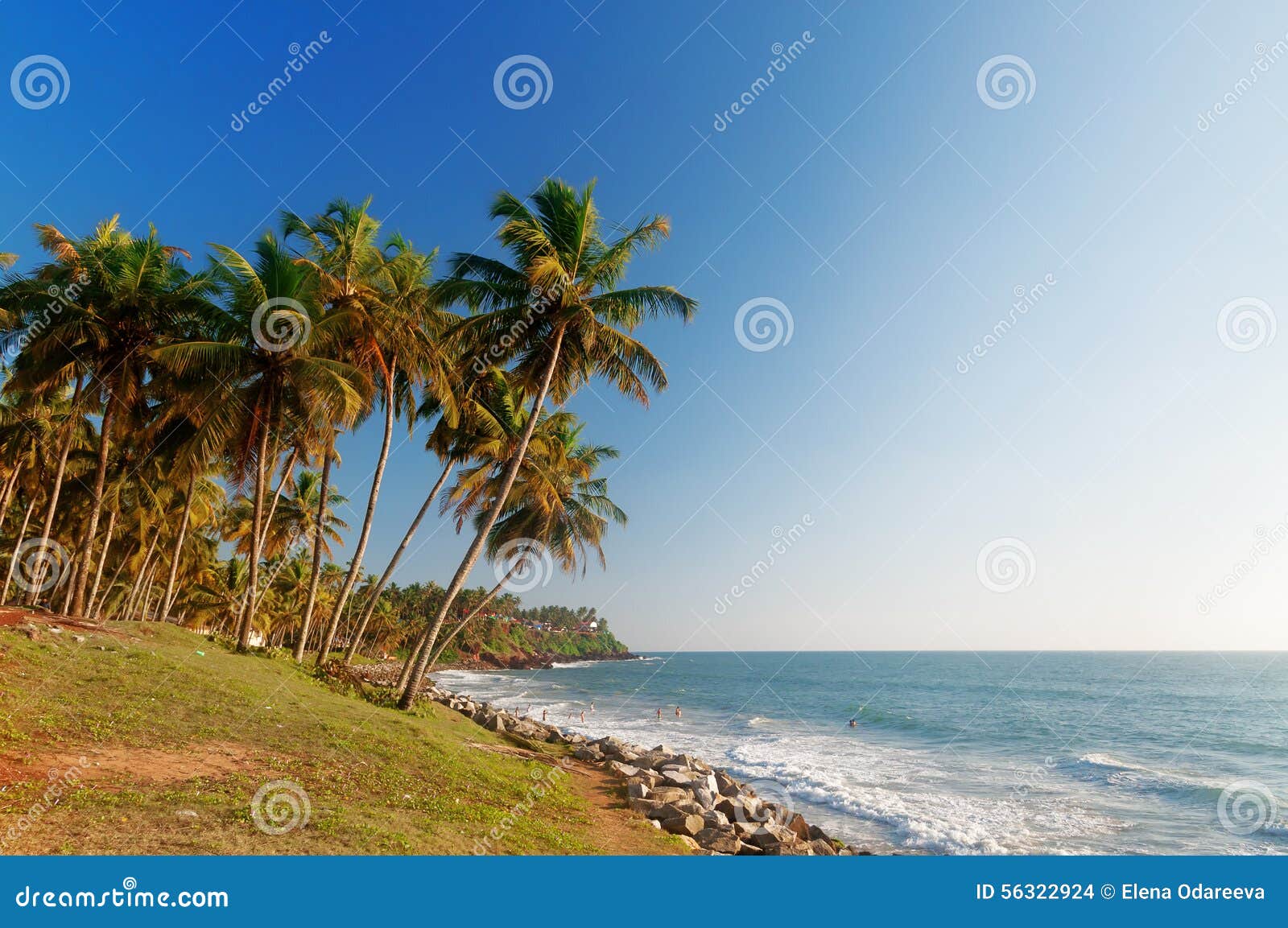 Varkala beach stock photo. Image of blue, trees, paradise - 56322924