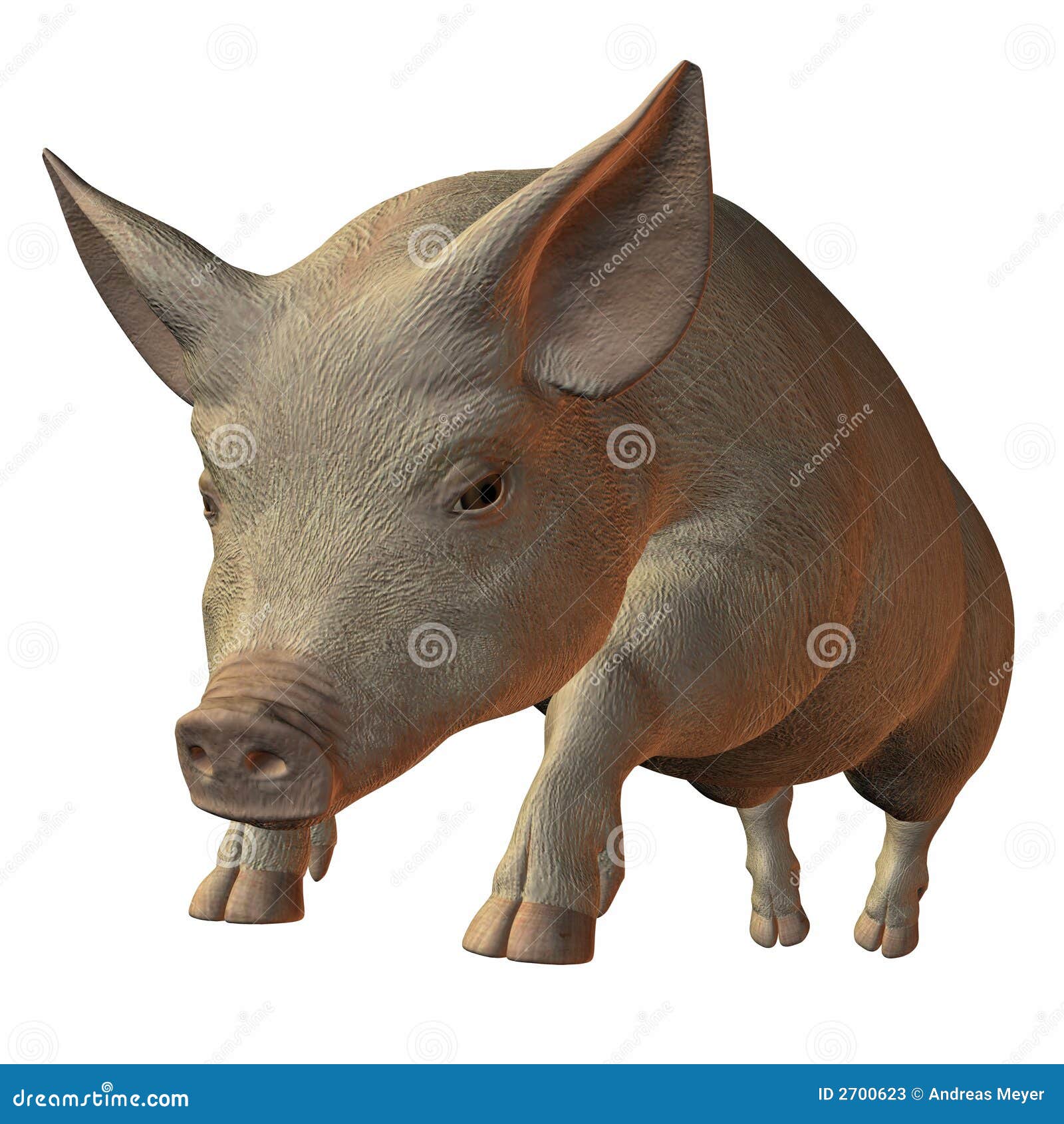 Varken stock illustratie. Illustration of dier, digitaal - 2700623