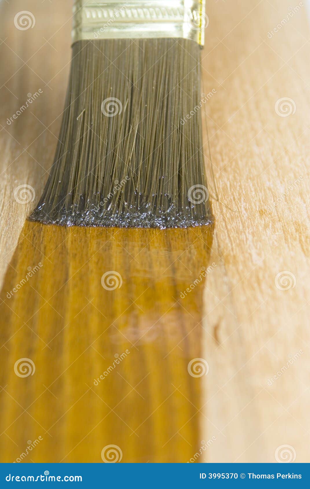 Varnish stock photo. Image of rich, wood, varnish, bristles - 3995370