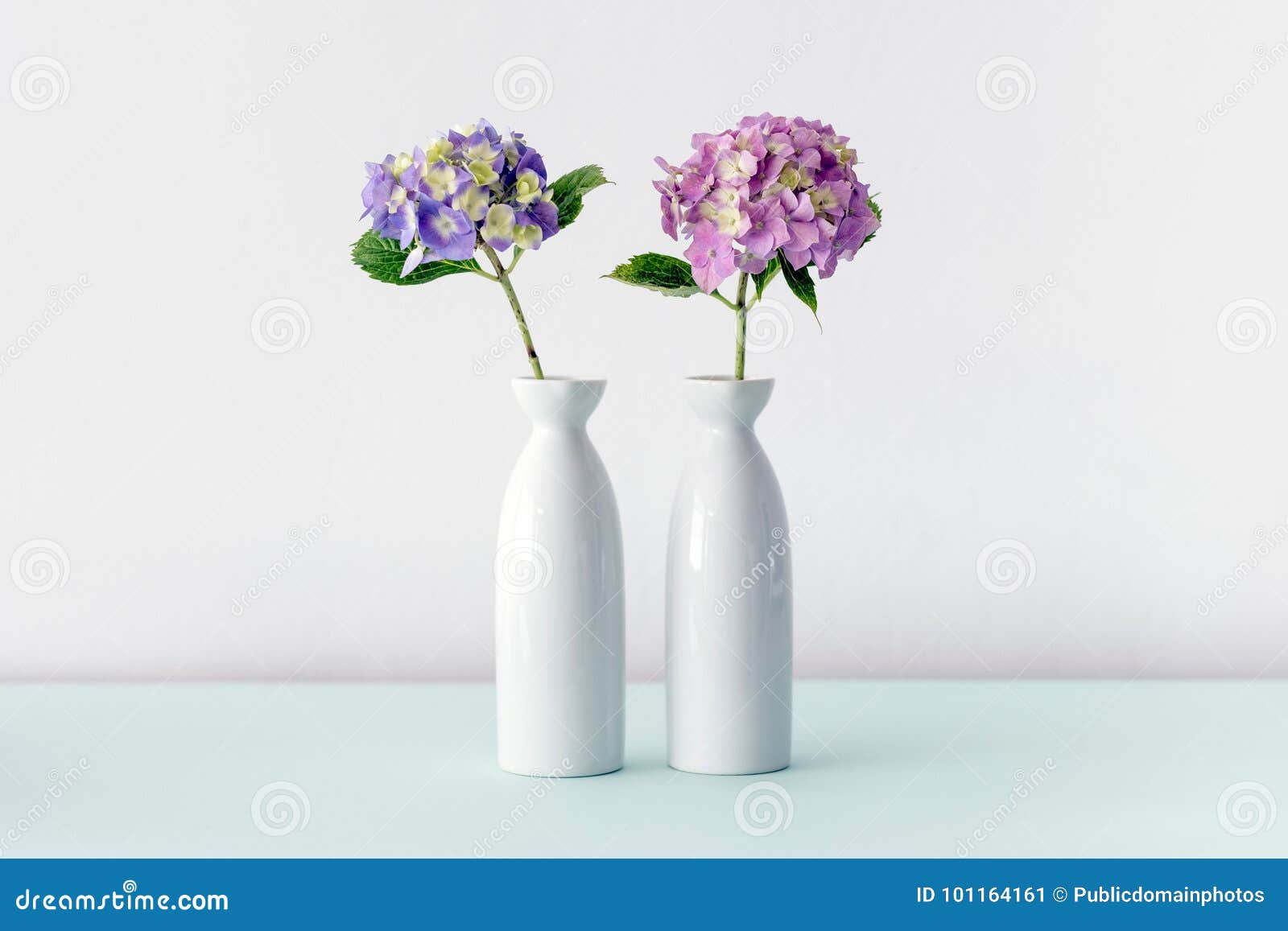 Vas Lilaxblomma Bild. Bild: 101164161