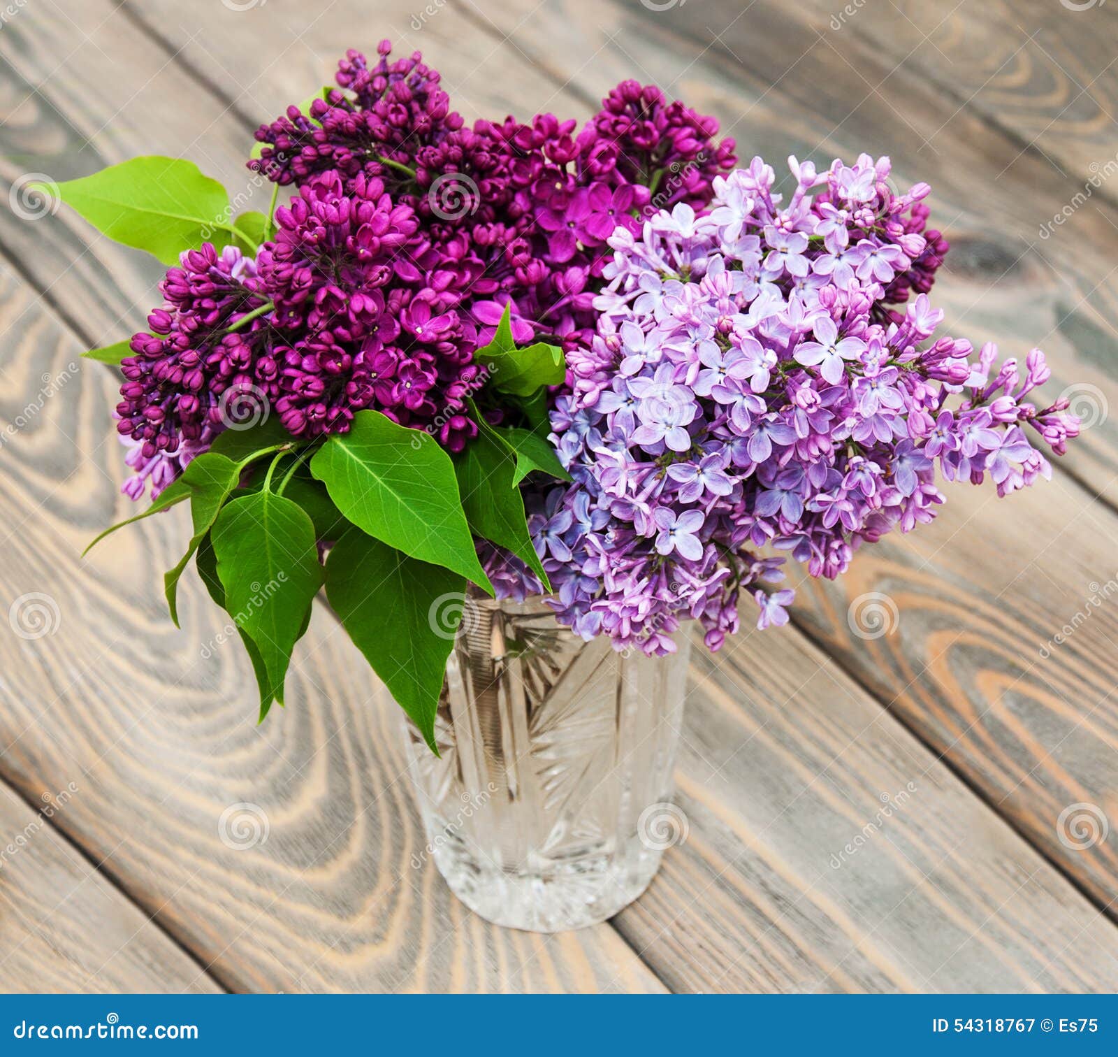 Vas med lila blommor fotografering för bildbyråer. Bild av bakgrund ...
