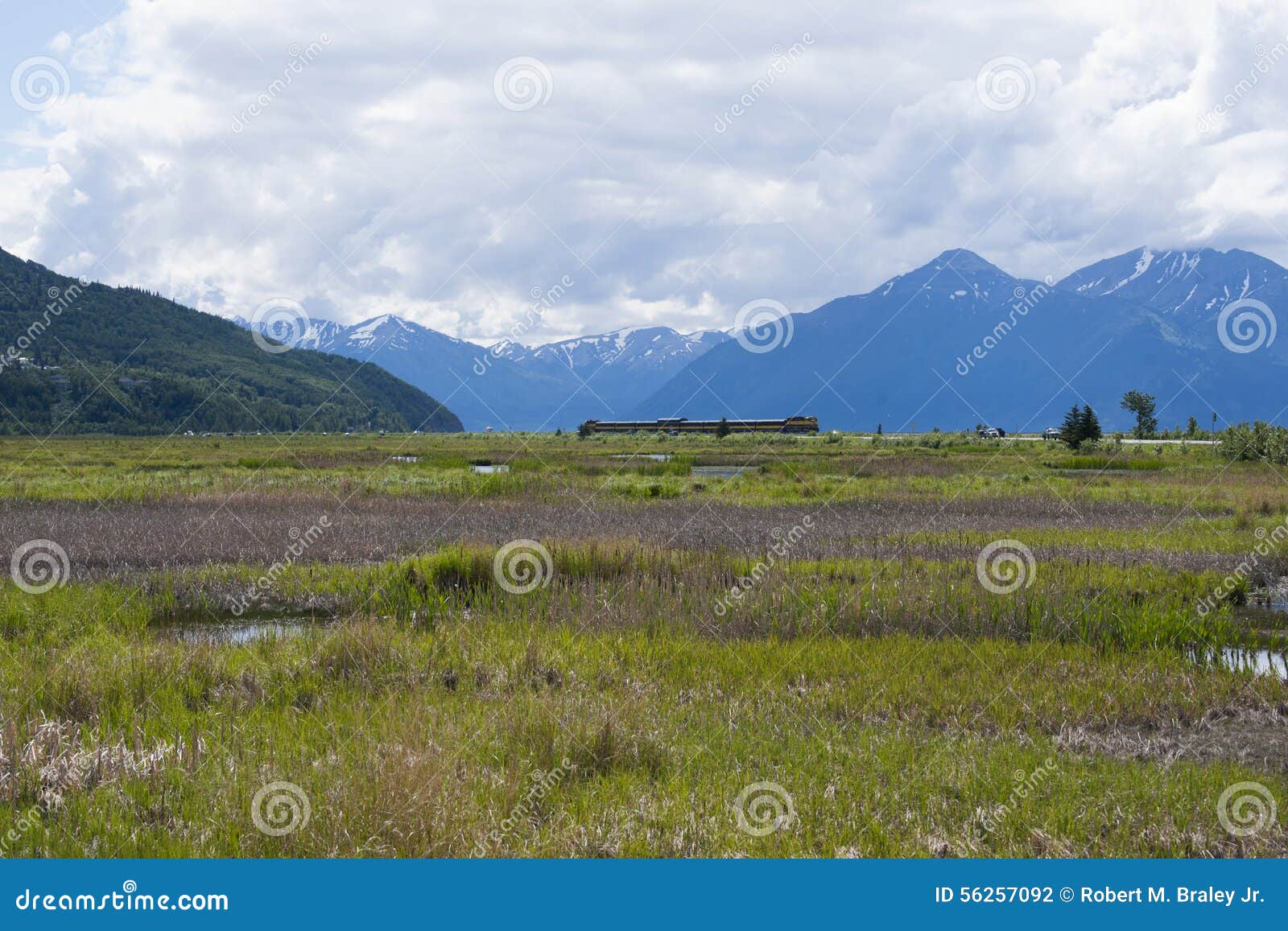 Vasaio Marsh Wildlife Refuge Anchorage Alaska Fotografia Stock ...