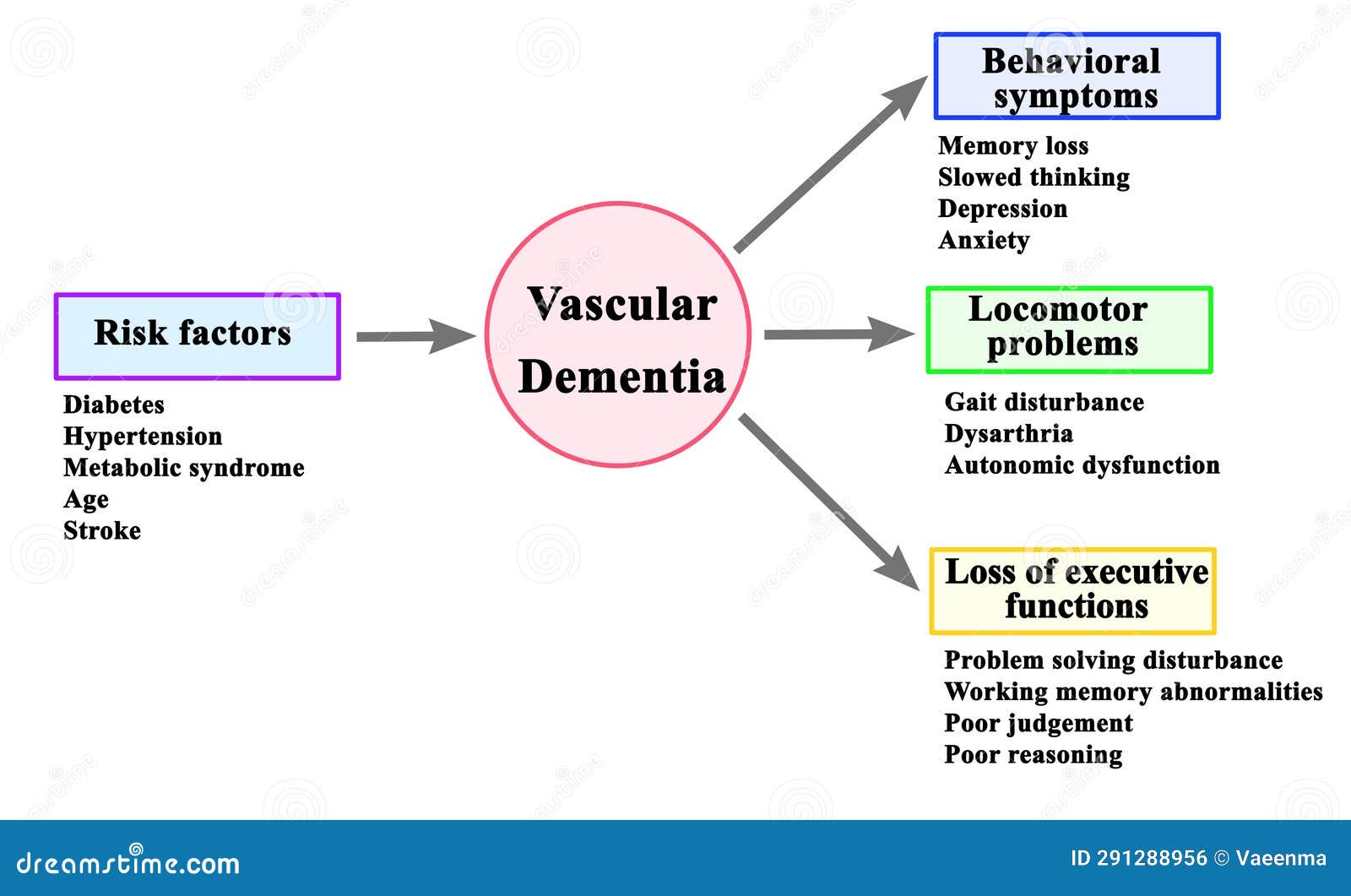 Vascular Dementia stock photo. Image of factors, dysfunction - 291288956
