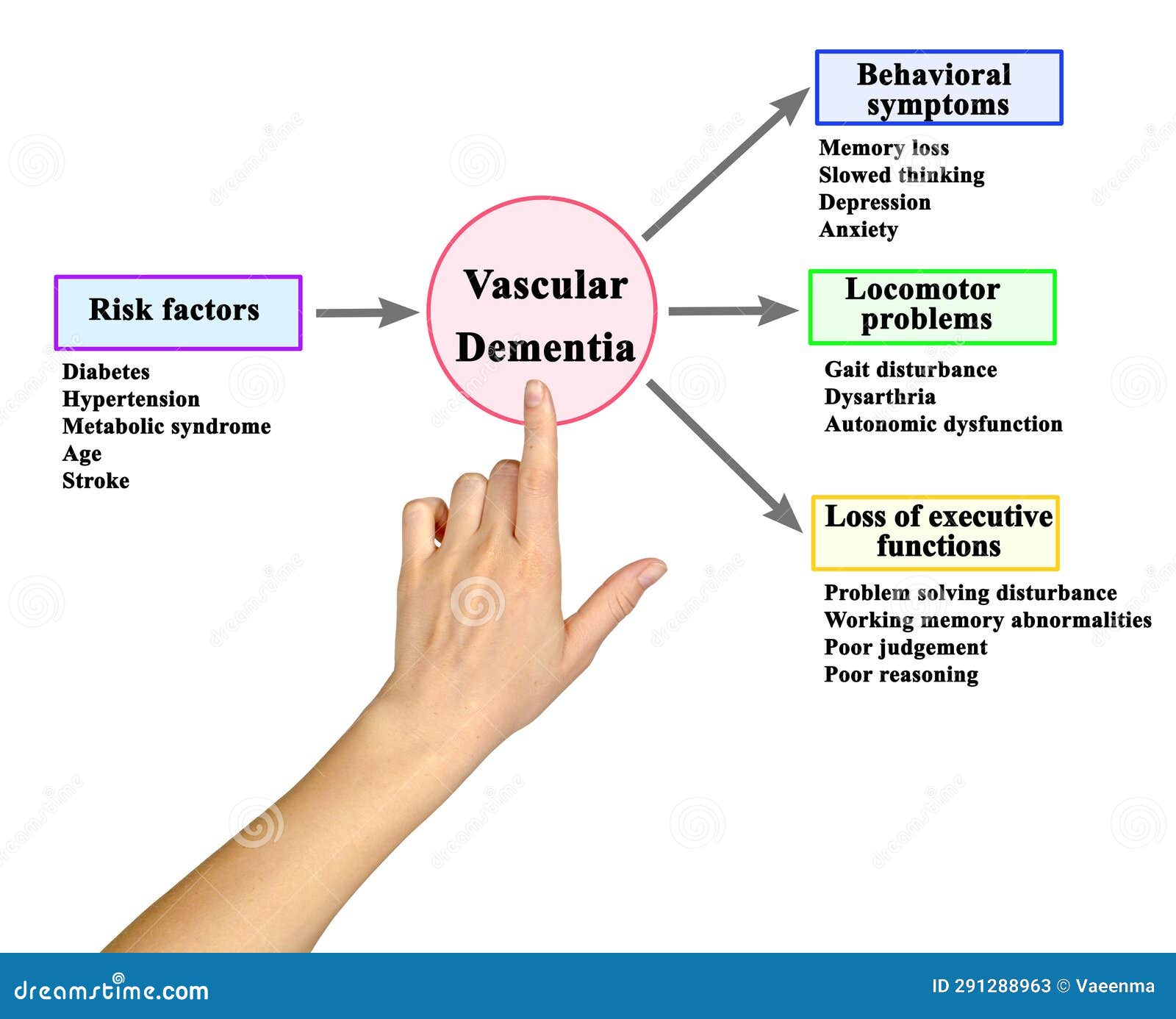 Vascular Dementia stock image. Image of hand, medicine - 291288963