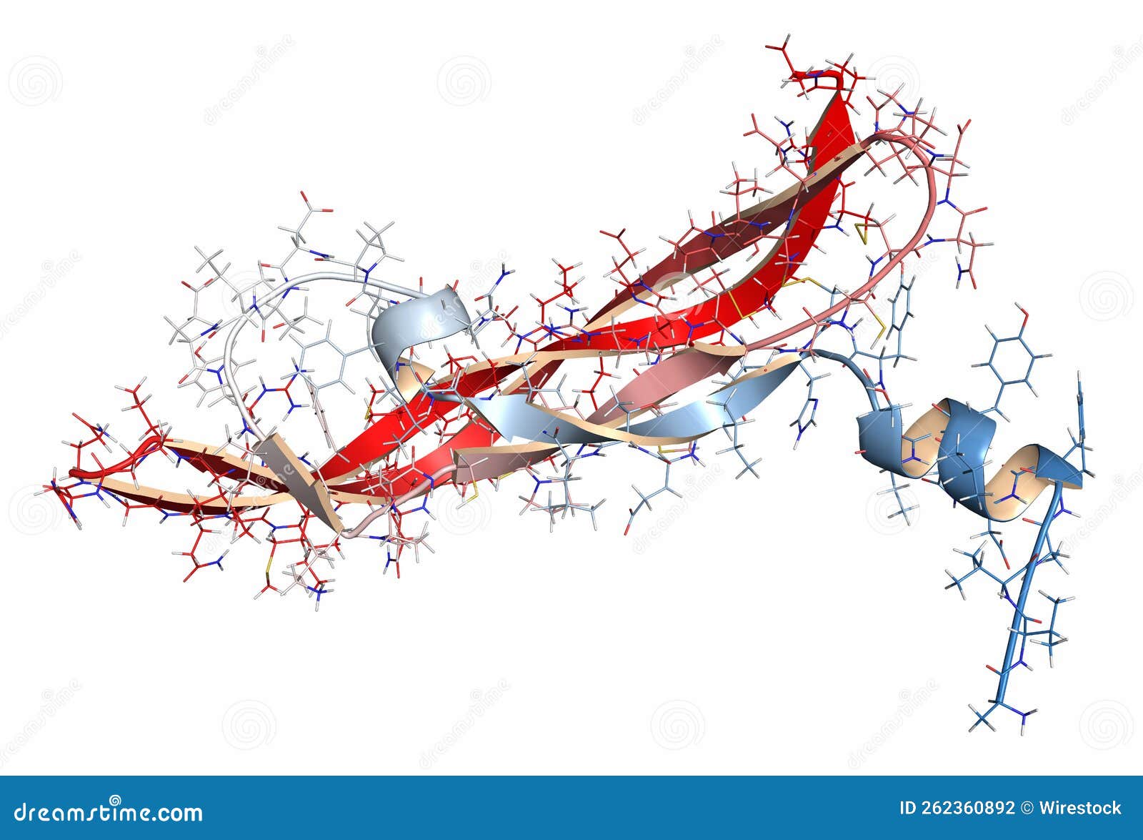 Vascular Endothelial Growth Factor a (VEGF a) Protein, 3D Illustration ...
