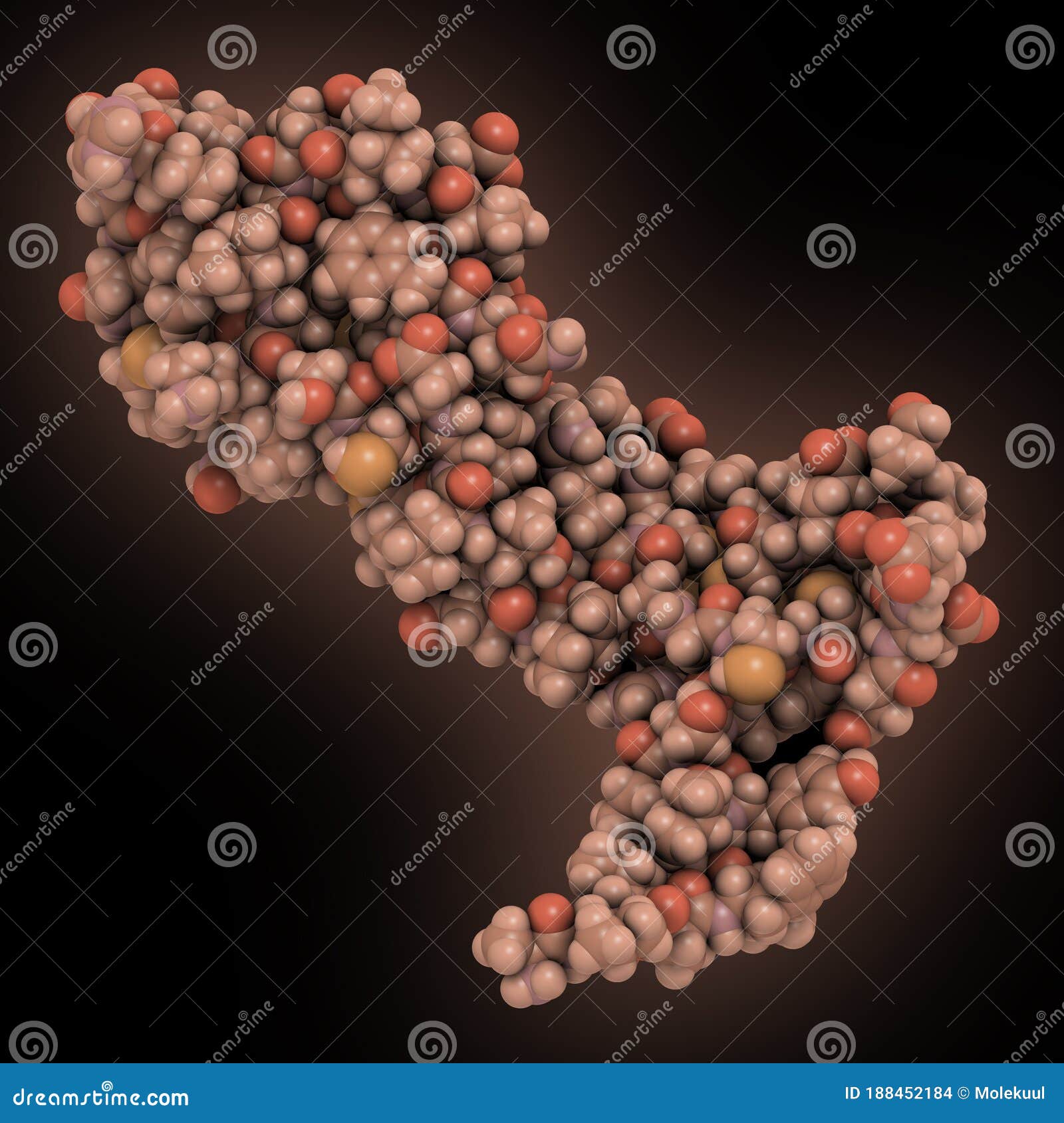 Vascular Endothelial Growth Factor a VEGF a Protein Molecule. 3D ...