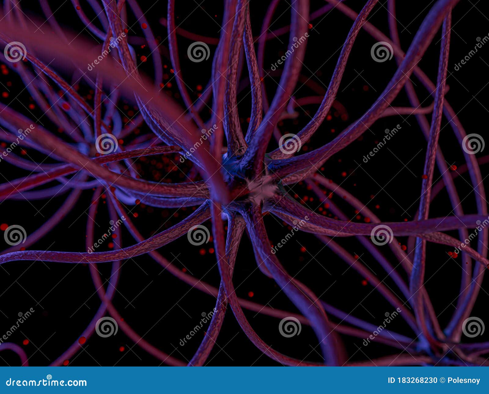 Vascular Plant Fine Roots Looking Like a Neural Network. 3D Stock ...