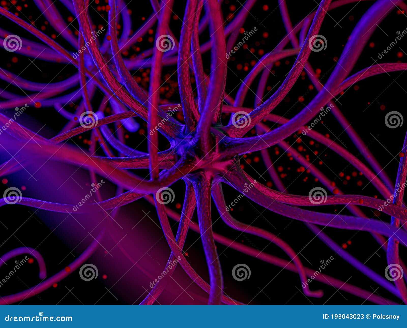 Vascular Plant Fine Roots Looking Like a Neural Network. 3D Stock ...
