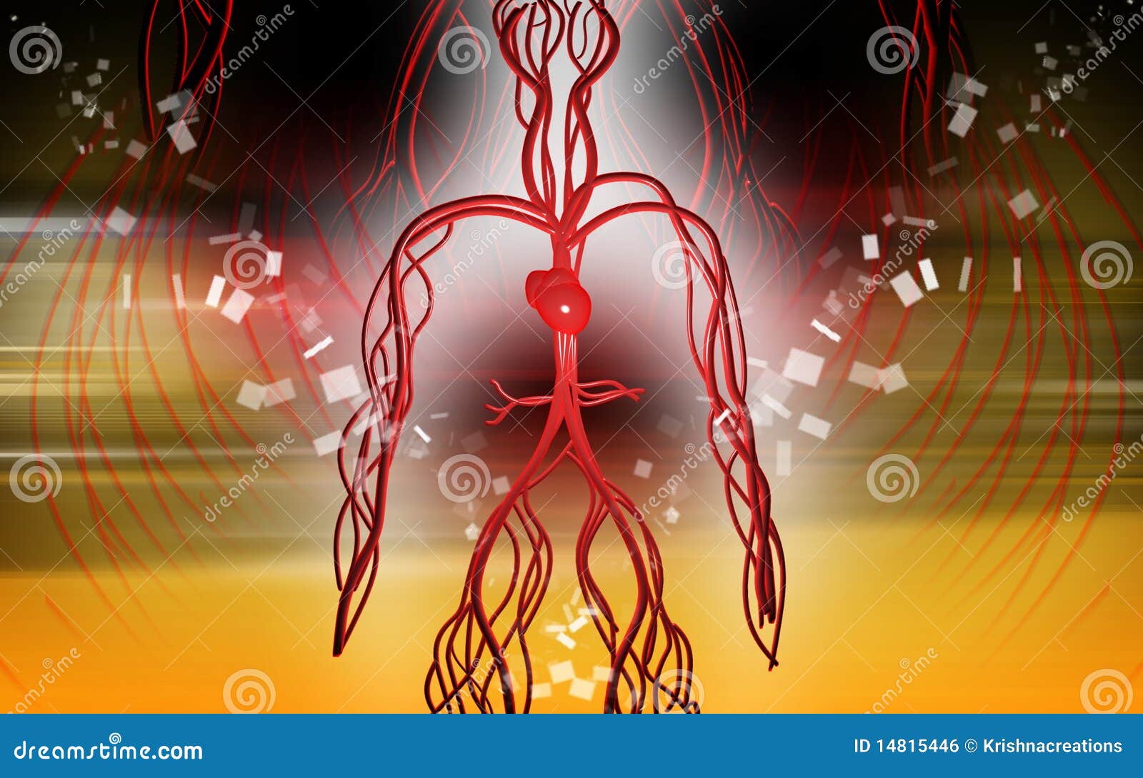The Vascular System Stock Image | CartoonDealer.com #158795611