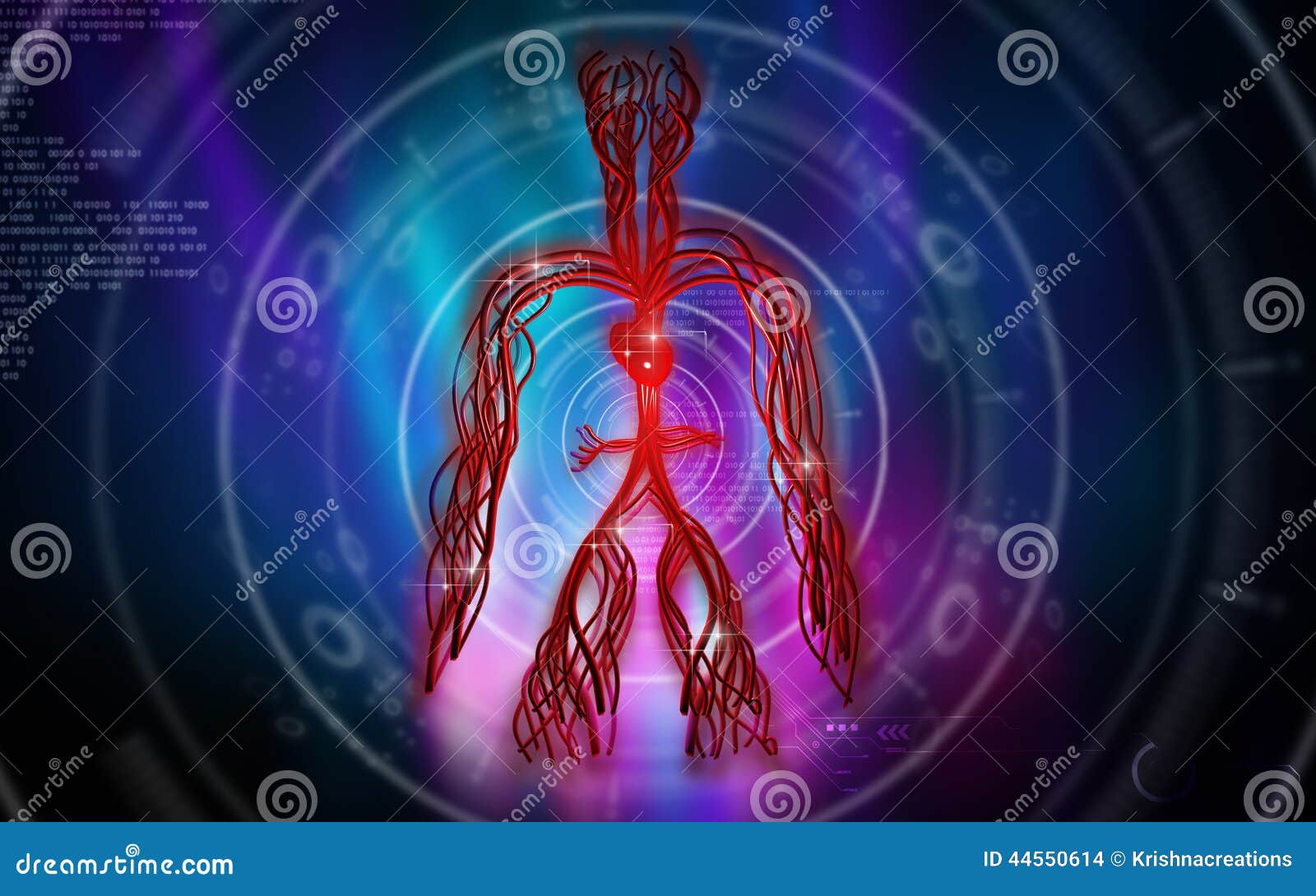 Vascular system stock illustration. Illustration of heart - 44550614