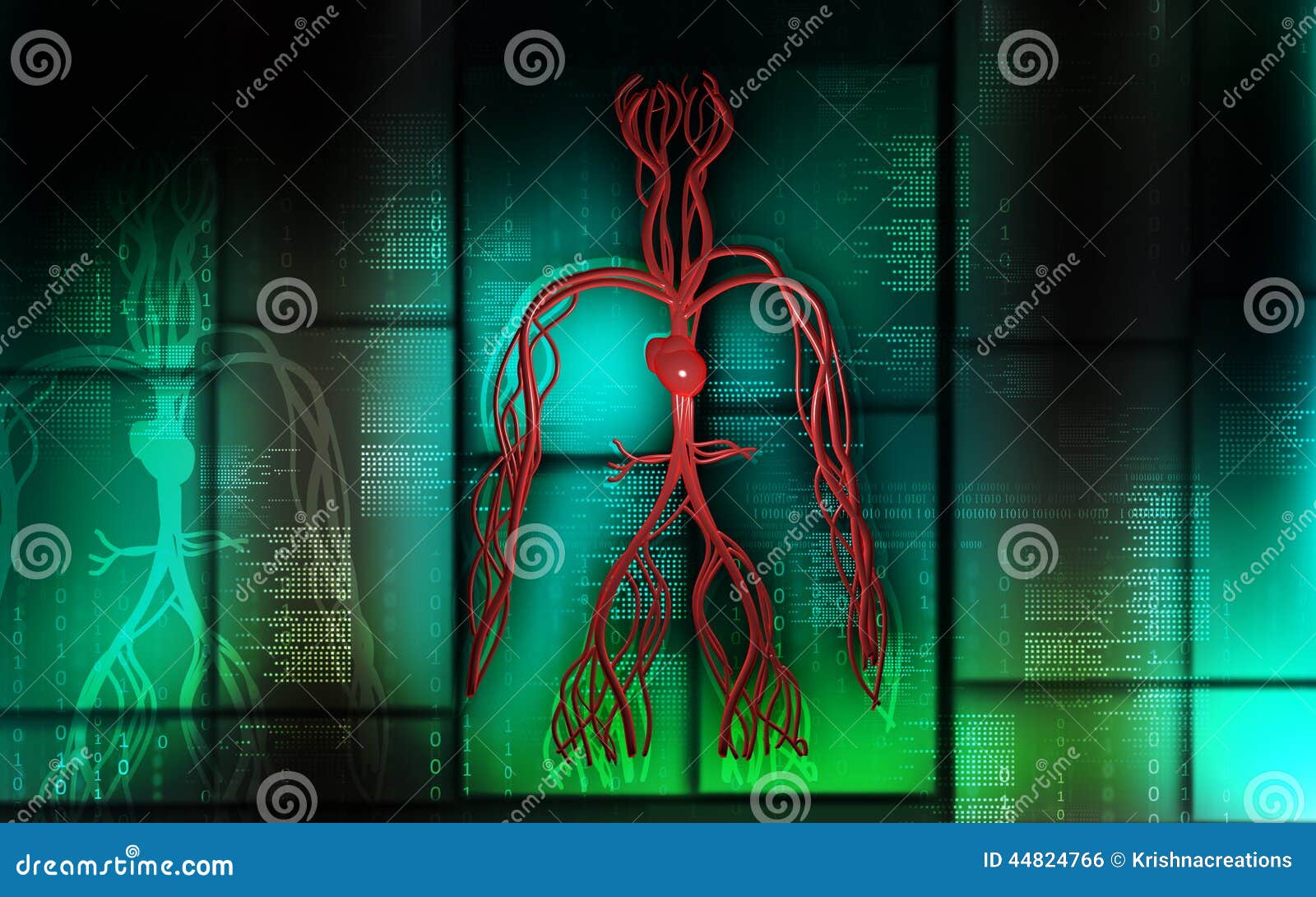Vascular System Royalty-Free Cartoon | CartoonDealer.com #6730718