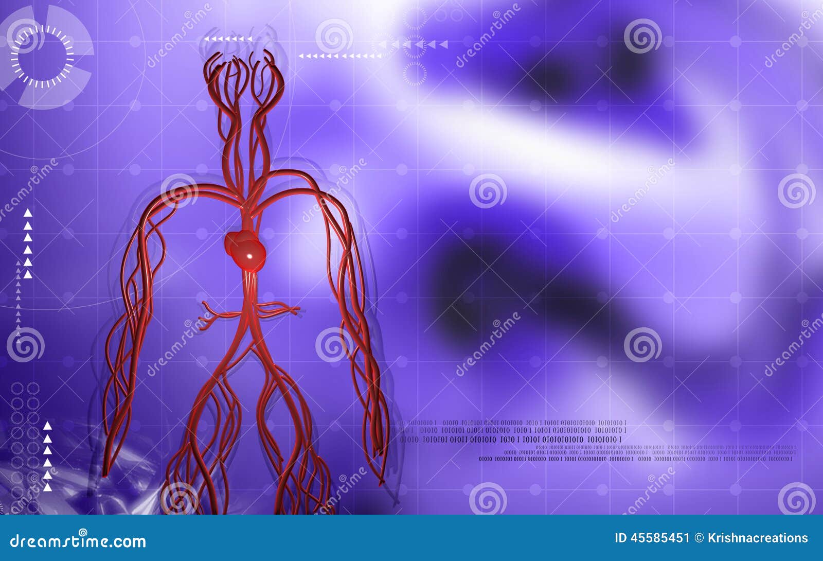 Vascular system stock illustration. Illustration of computer - 45585451
