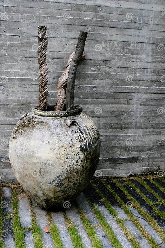 Vase stock image. Image of growth, modern, horticulture - 10689393