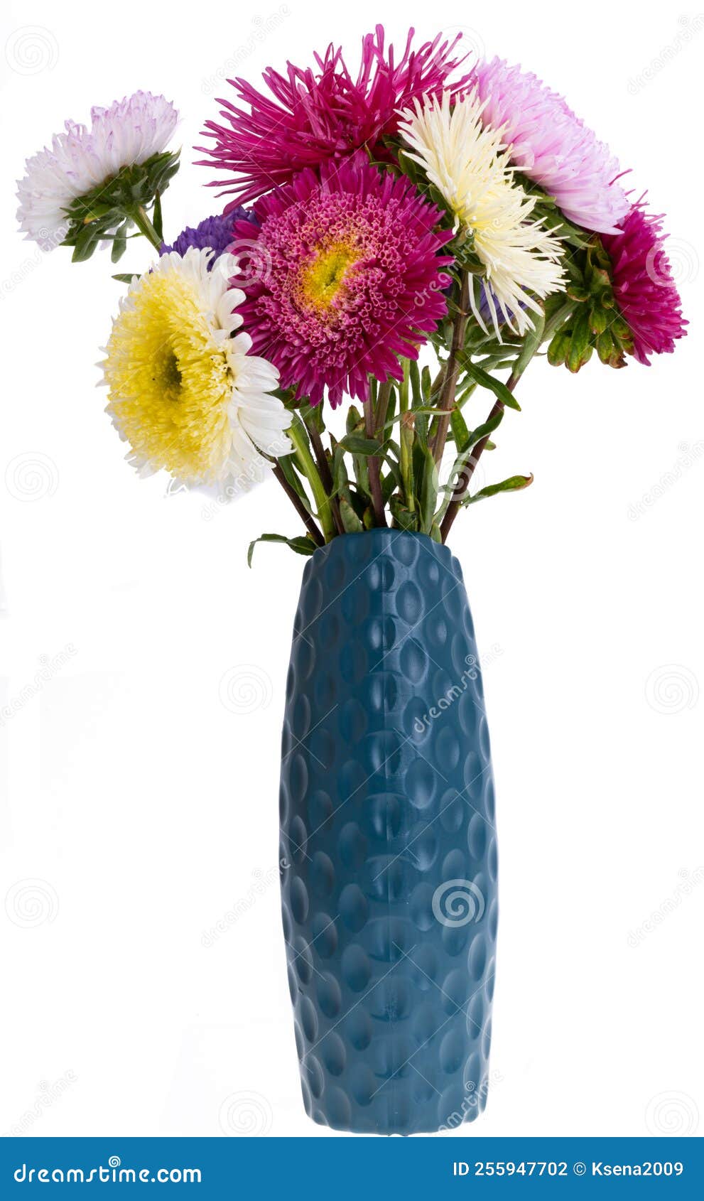 Vase with Asters Bouquet Isolated Stock Photo - Image of astra, purple ...