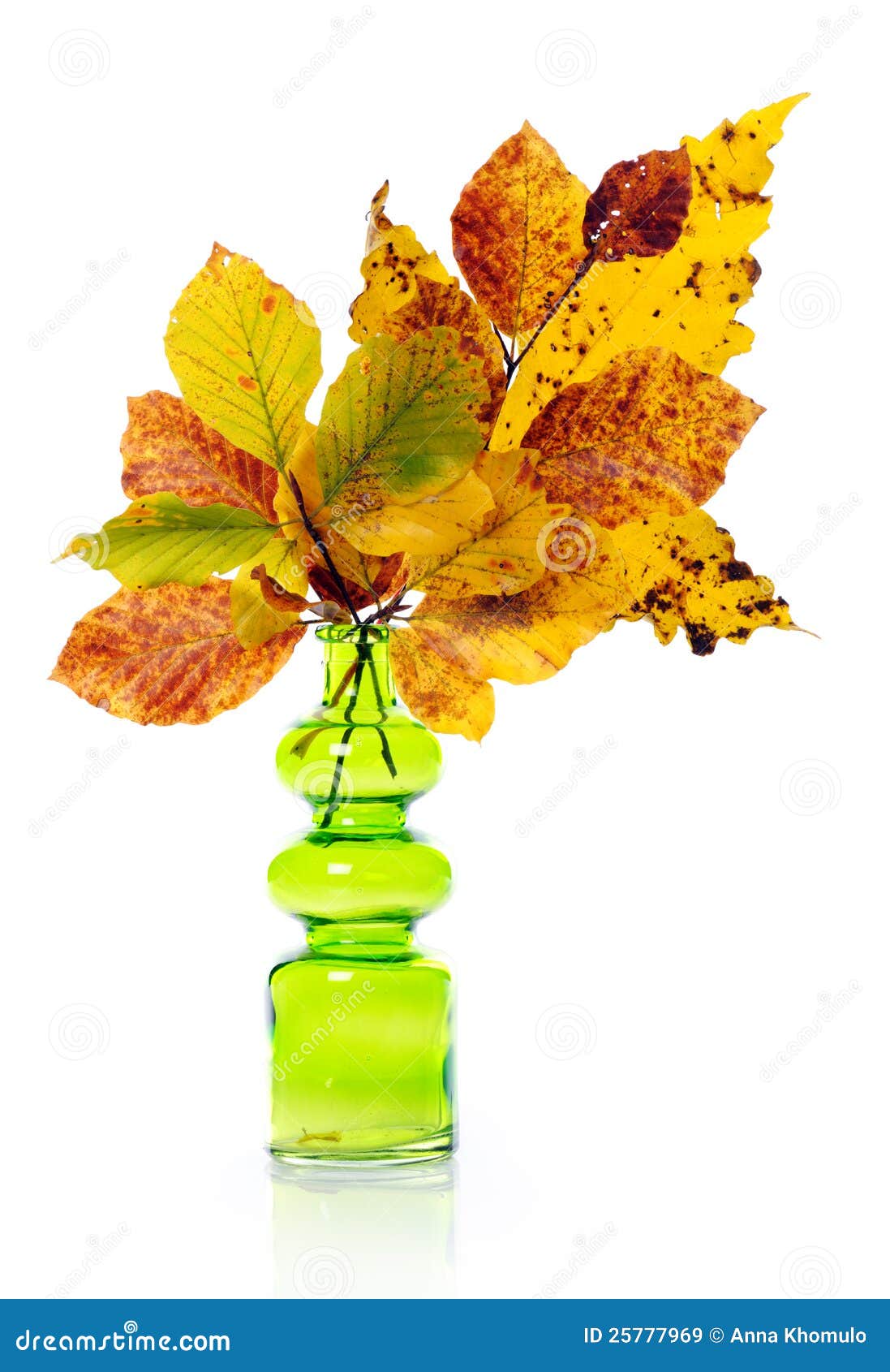Vase with autumn bouquet stock image. Image of bunch - 25777969