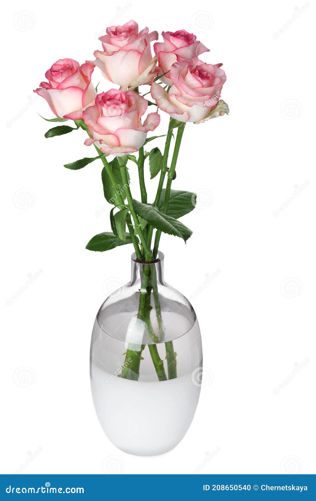 Vase with Beautiful Pink Roses Isolated on White Stock Photo - Image of ...