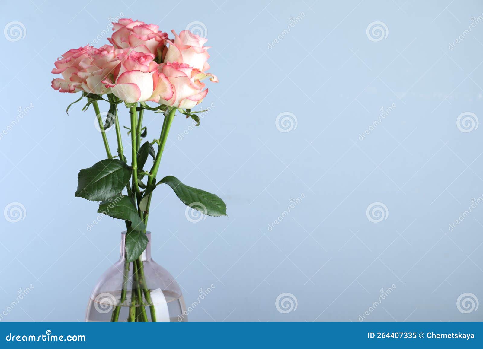 Vase with Beautiful Pink Roses on Light Blue Background. Space for Text ...