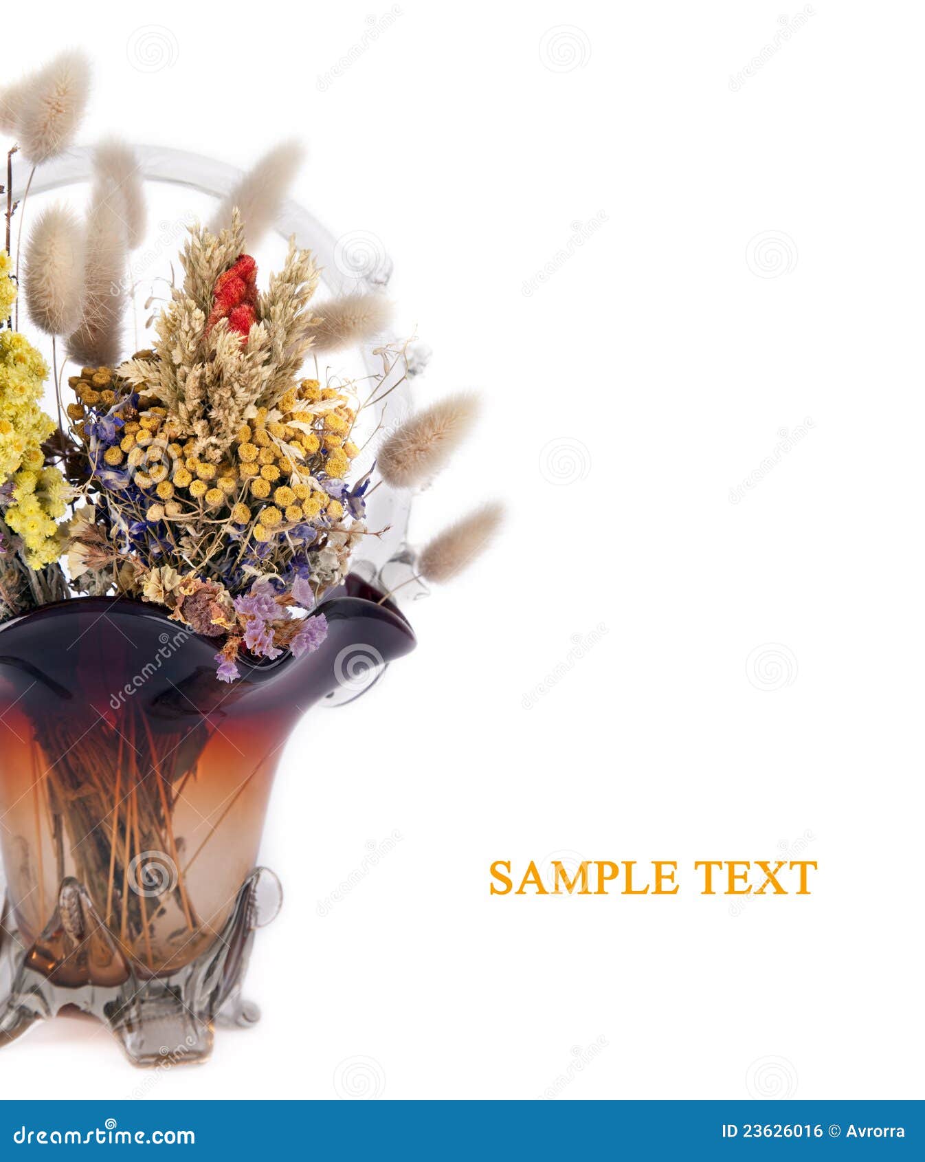 Vase With Dried Flowers Isolated Stock Photo - Image of emotions ...