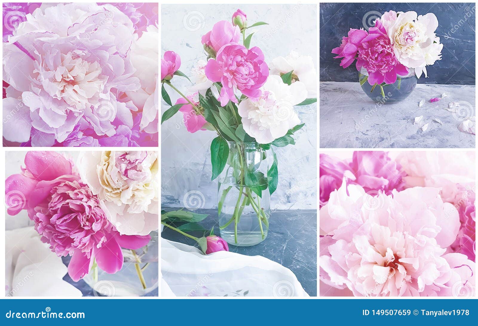 Vase Flower Beautiful Peony, Collage Stock Image - Image of greeting ...