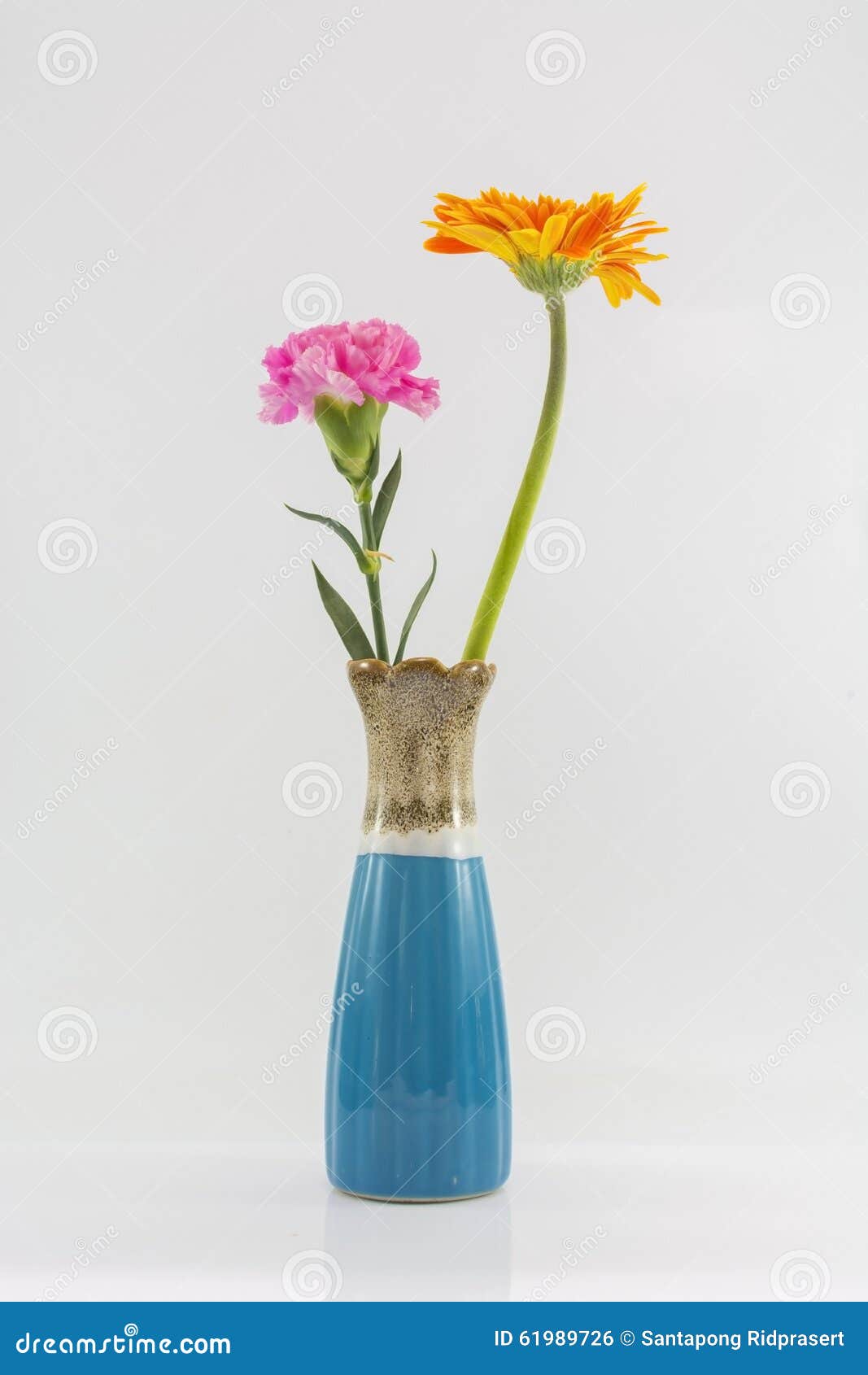 Vase and Flower Isolate on the White Background Stock Photo - Image of ...