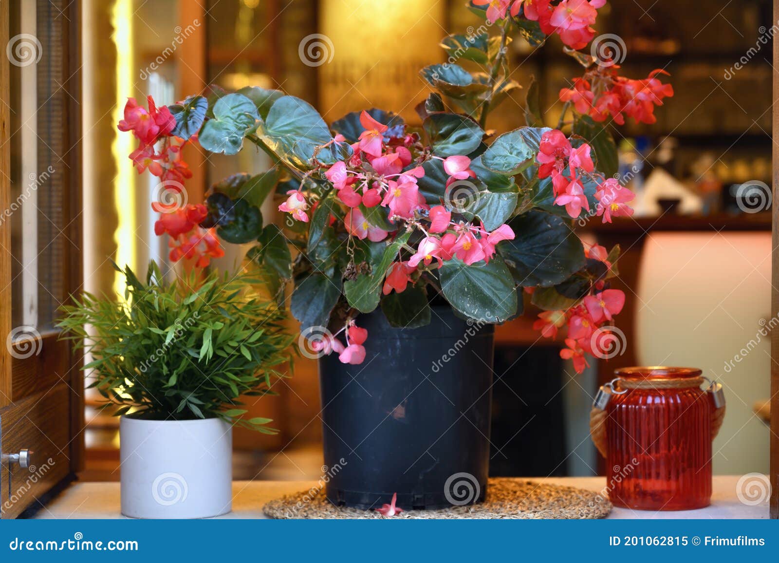Vase with Flowers in a Restaurant in Greece Stock Image - Image of door ...