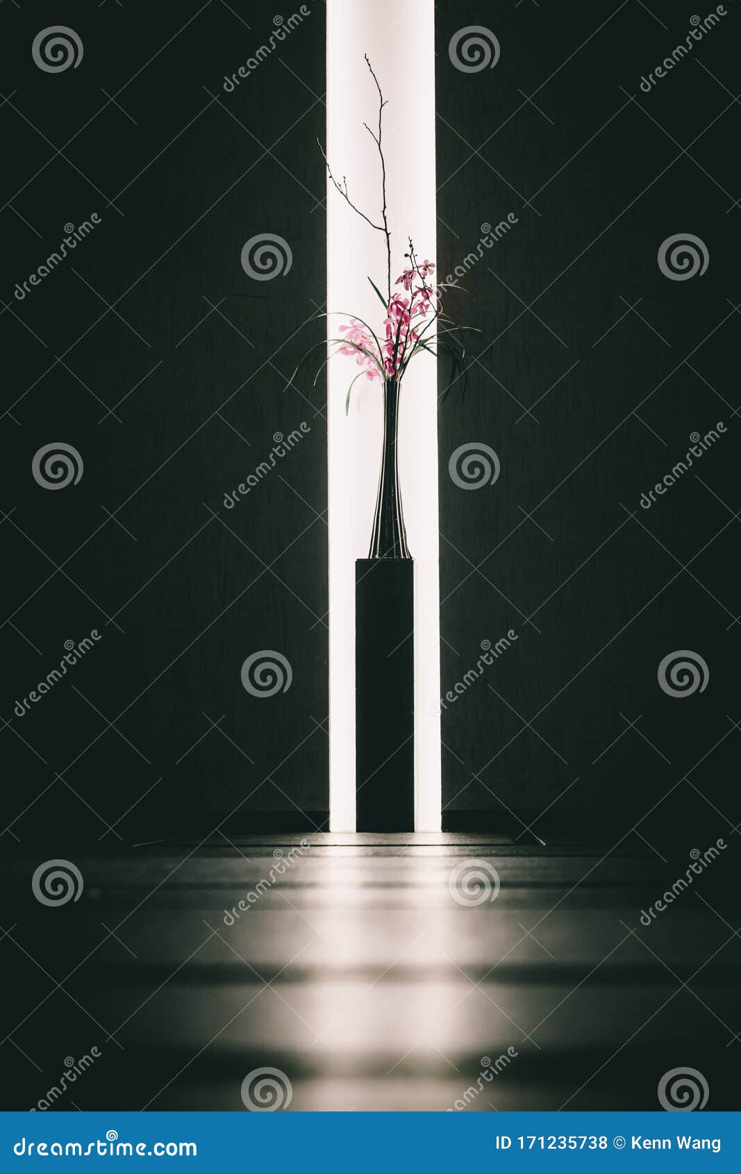 Vase in light and shadow stock photo. Image of extremely - 171235738