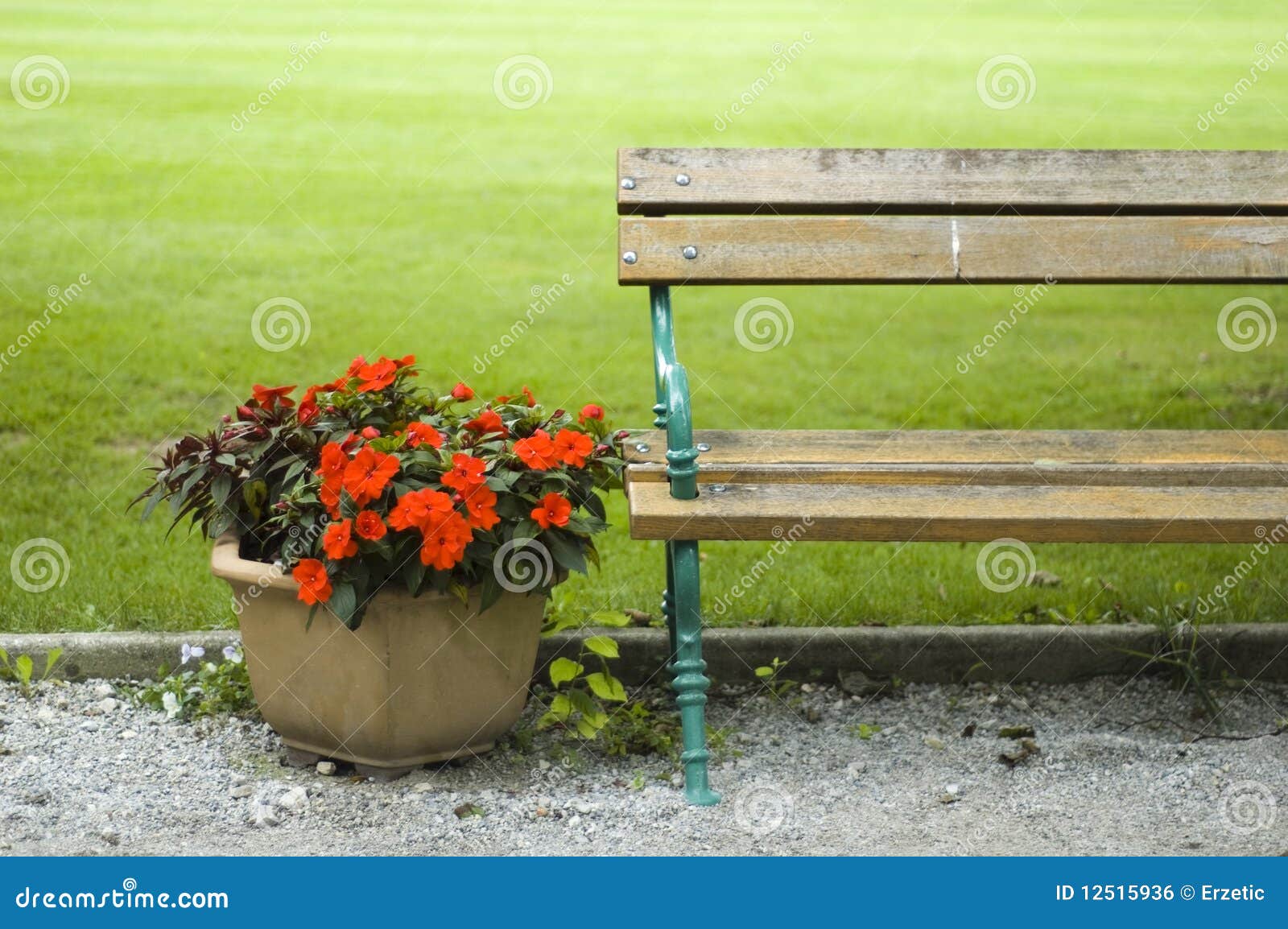 Vase nad bench stock photo. Image of road, grass, meadow - 12515936