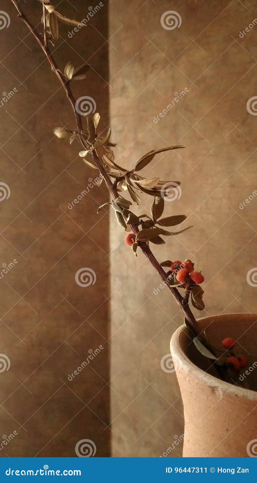 Vase and outshining flower stock image. Image of article - 96447311