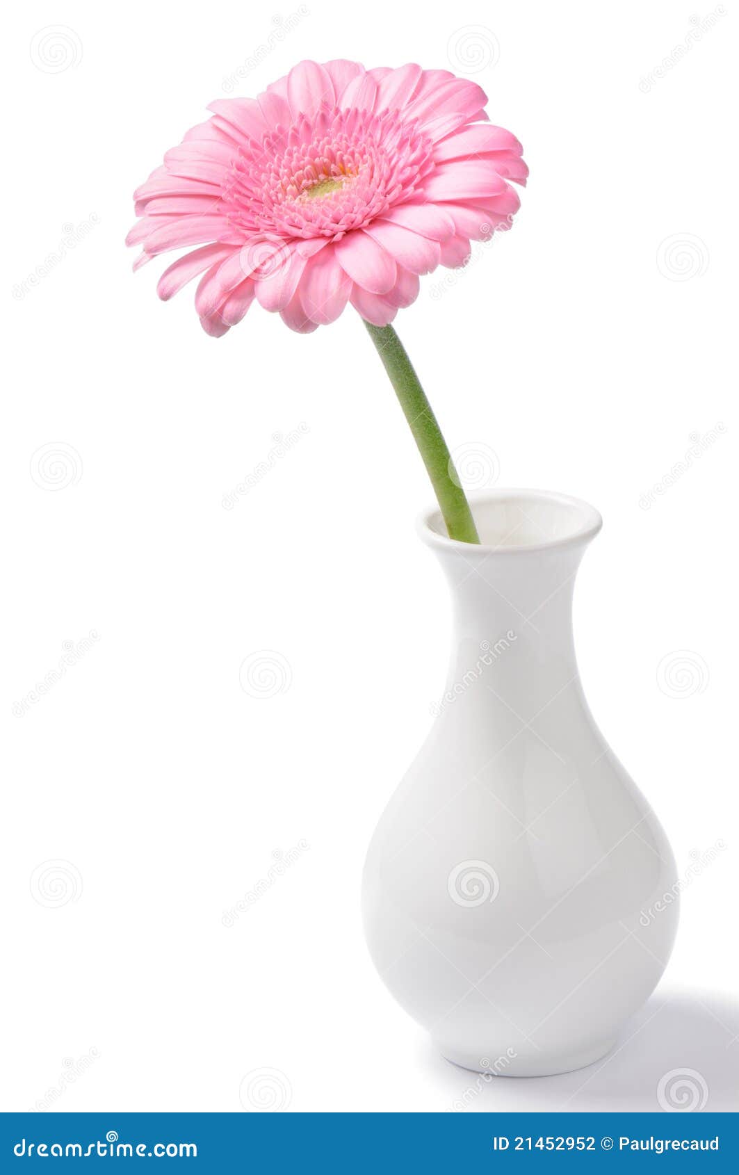 Vase Of Pink Roses Royalty-Free Stock Photo | CartoonDealer.com #42578229