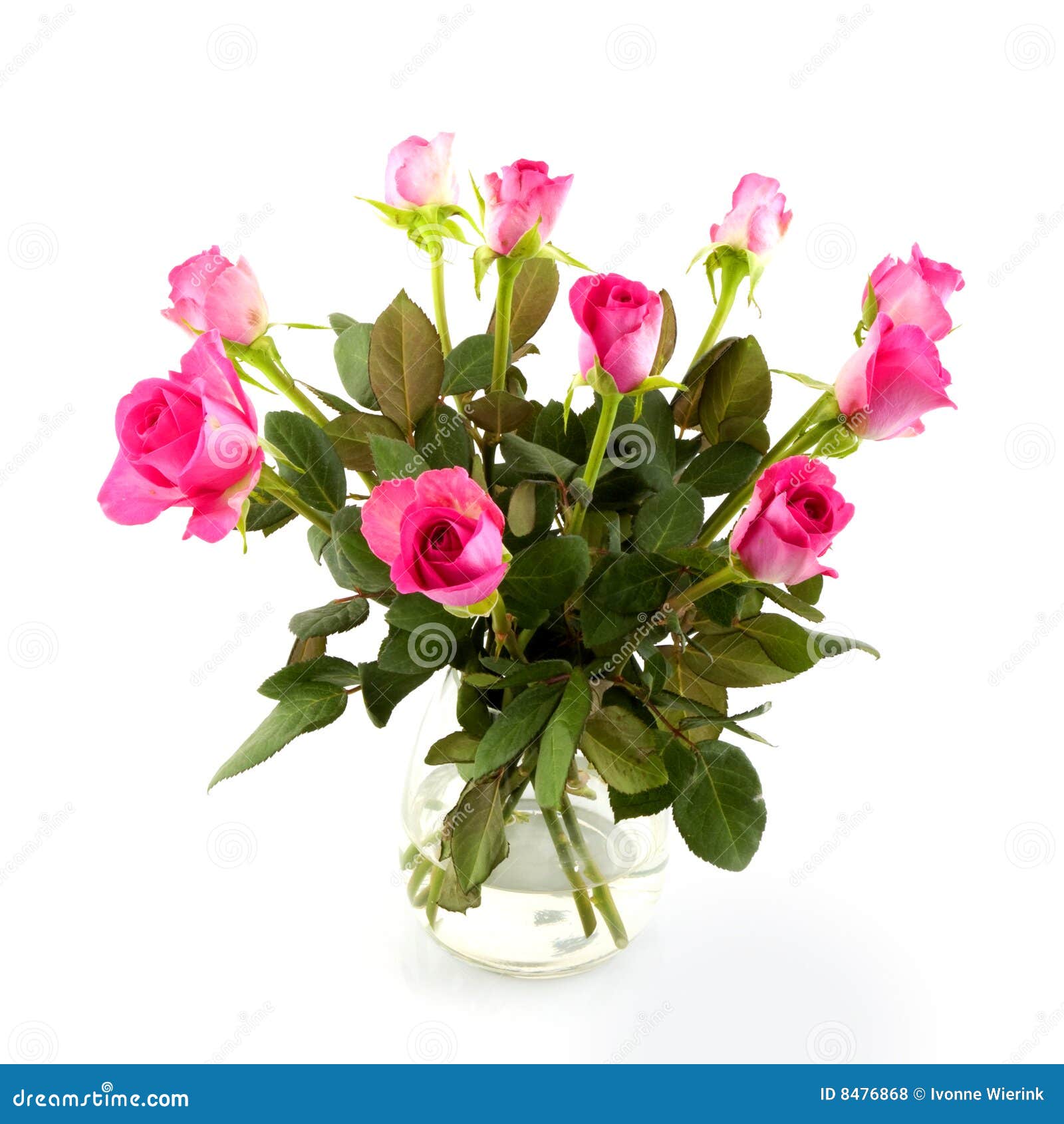 Vase with pink roses stock photo. Image of clear, glass - 8476868