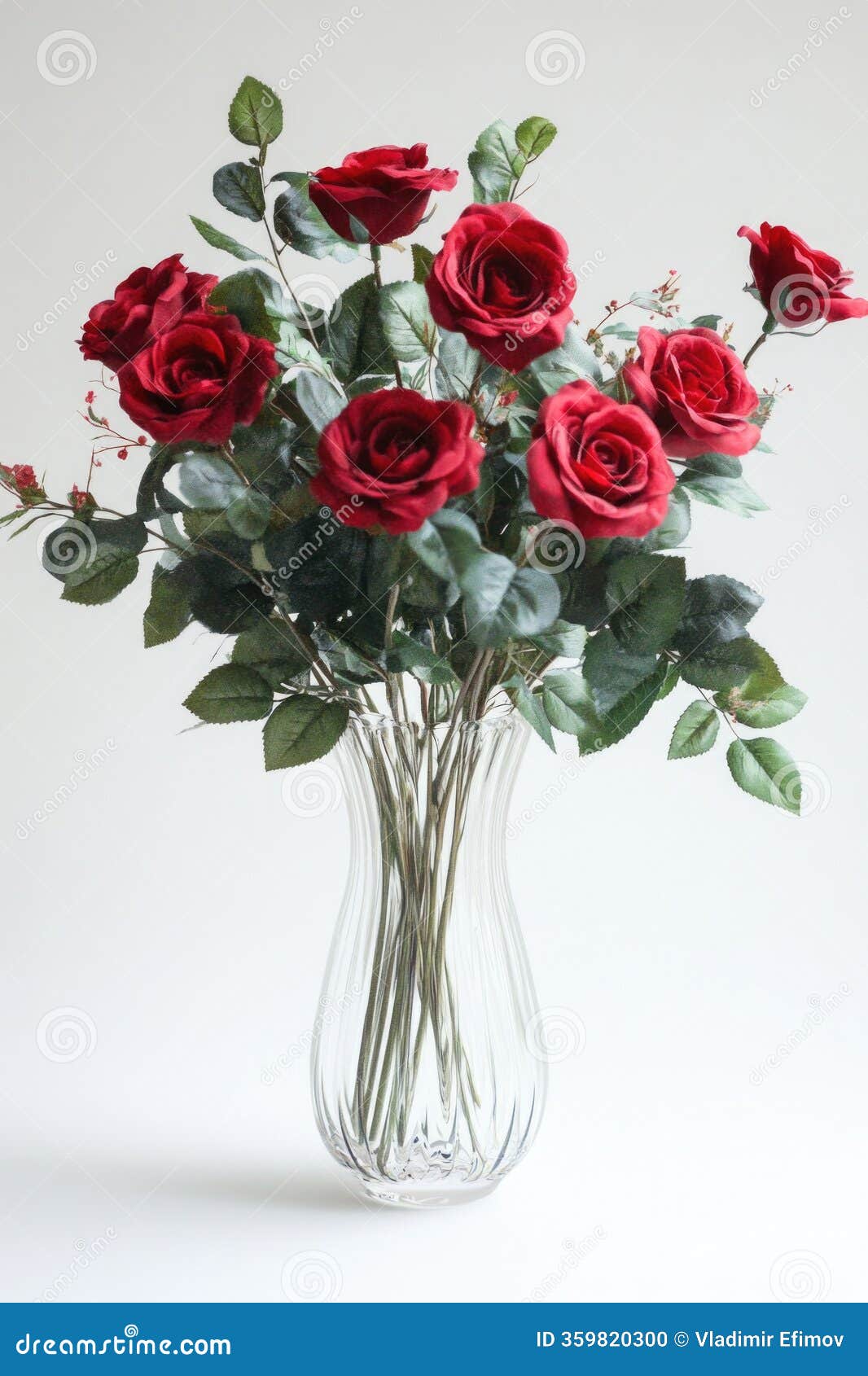 Vase of Red Roses stock photo. Image of containers, stems - 359820300