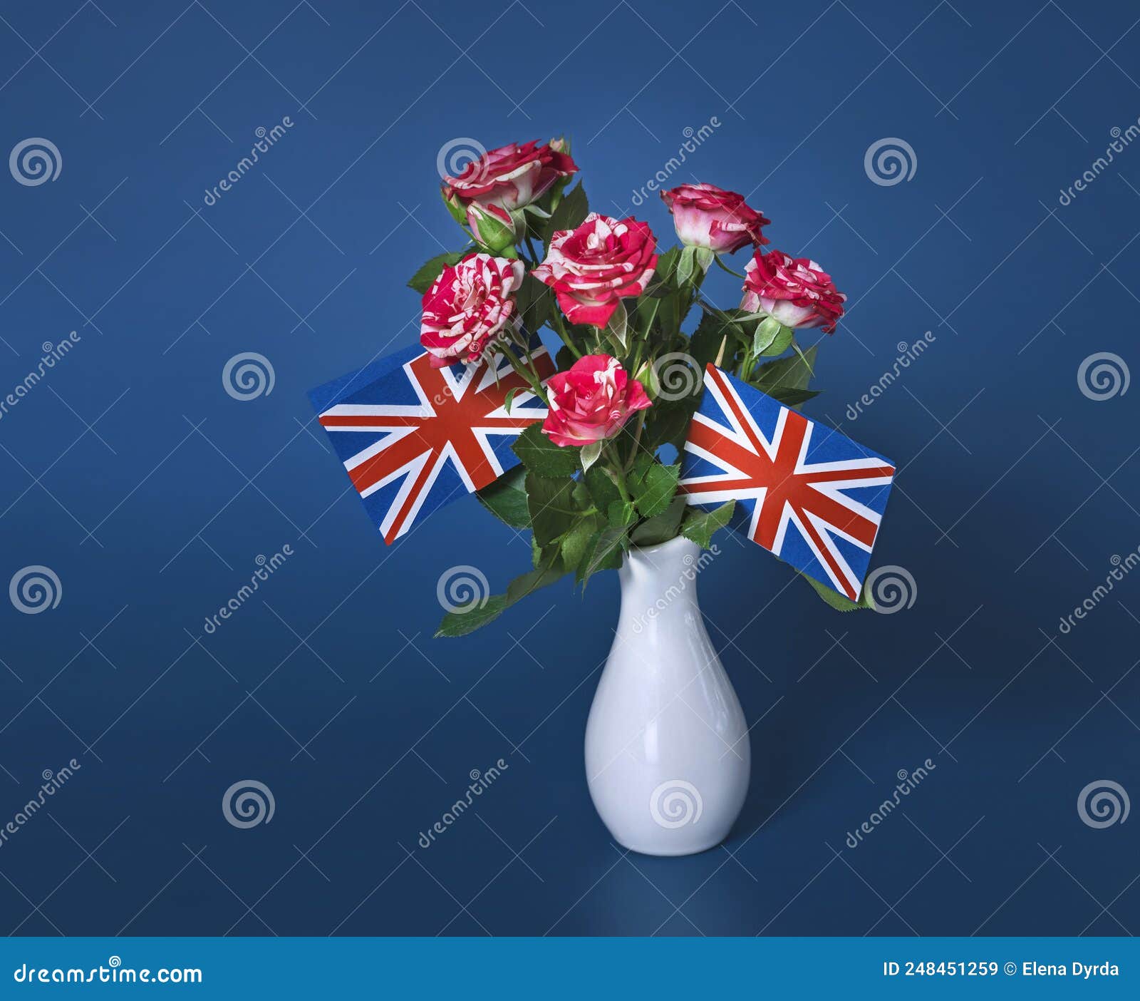Vase with Roses and British Flags on a Dark Blue Background Stock Image ...
