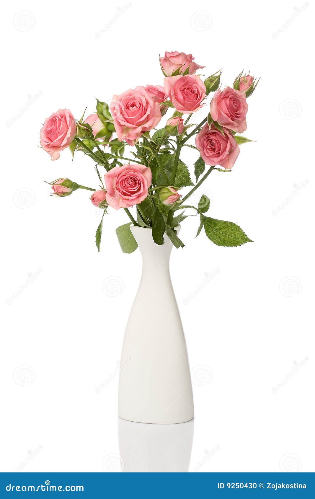 Vase with Roses Isolated on White Stock Photo - Image of indoors, bloom ...